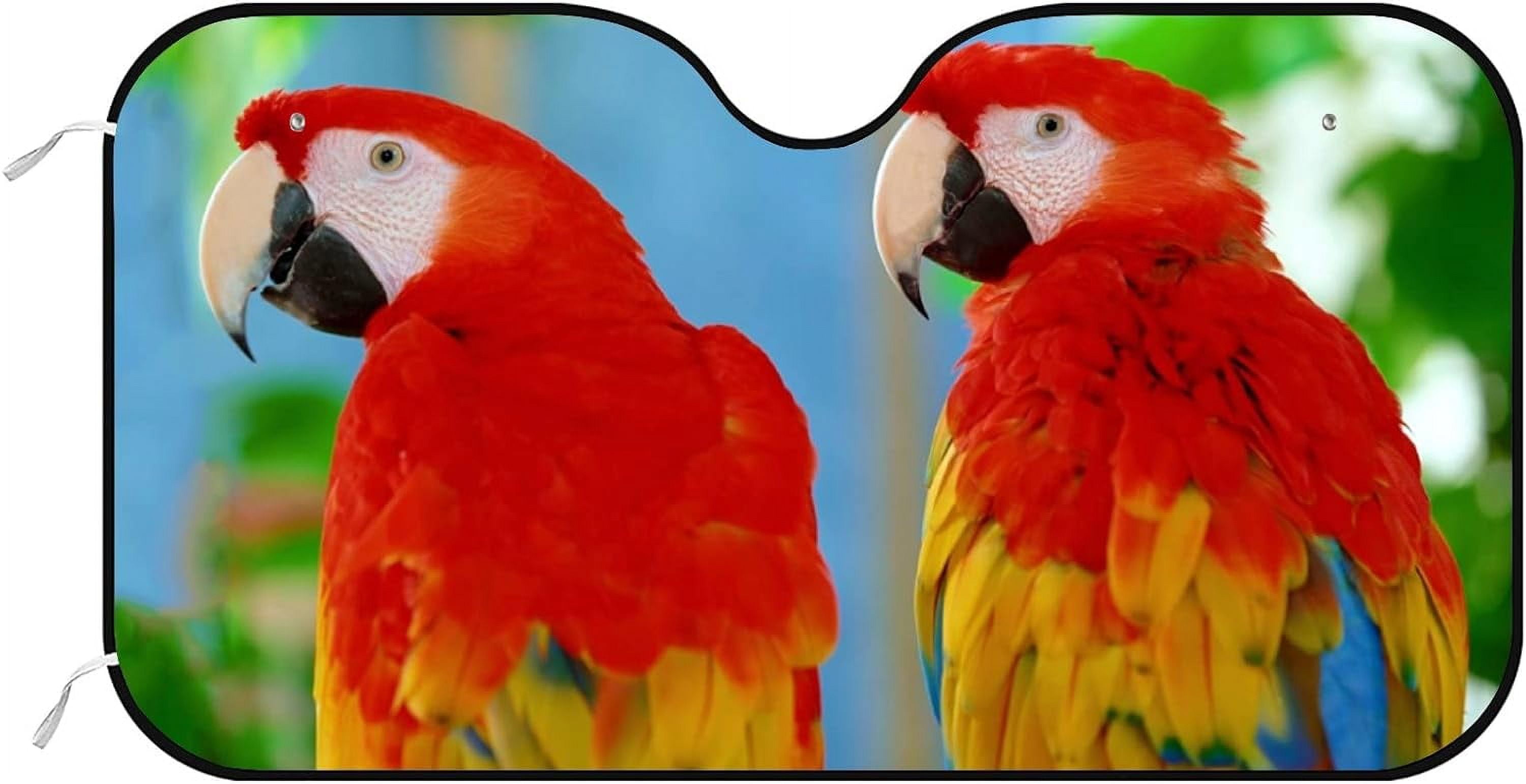 GZHJMY Car Windshield Sunshade Macaw Parrot in Zoo, Foldable Car Visor ...