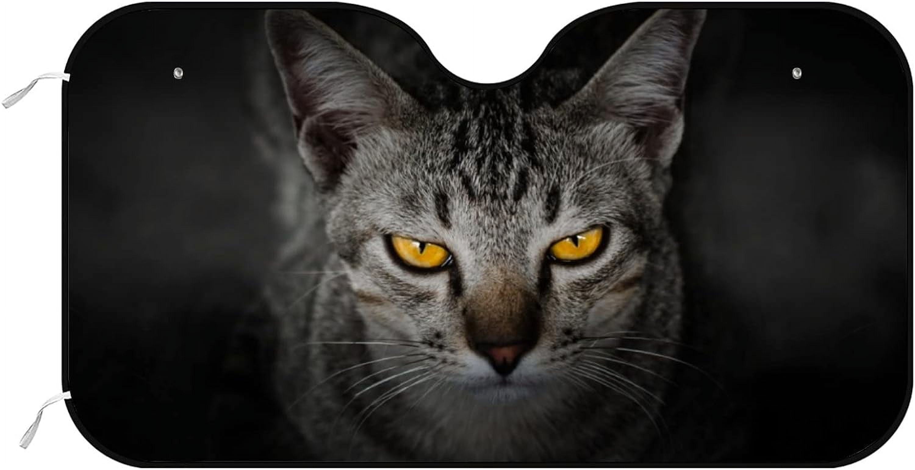 GZHJMY Car Windshield Sunshade Mysterious Gaze of Cat, Foldable Car ...