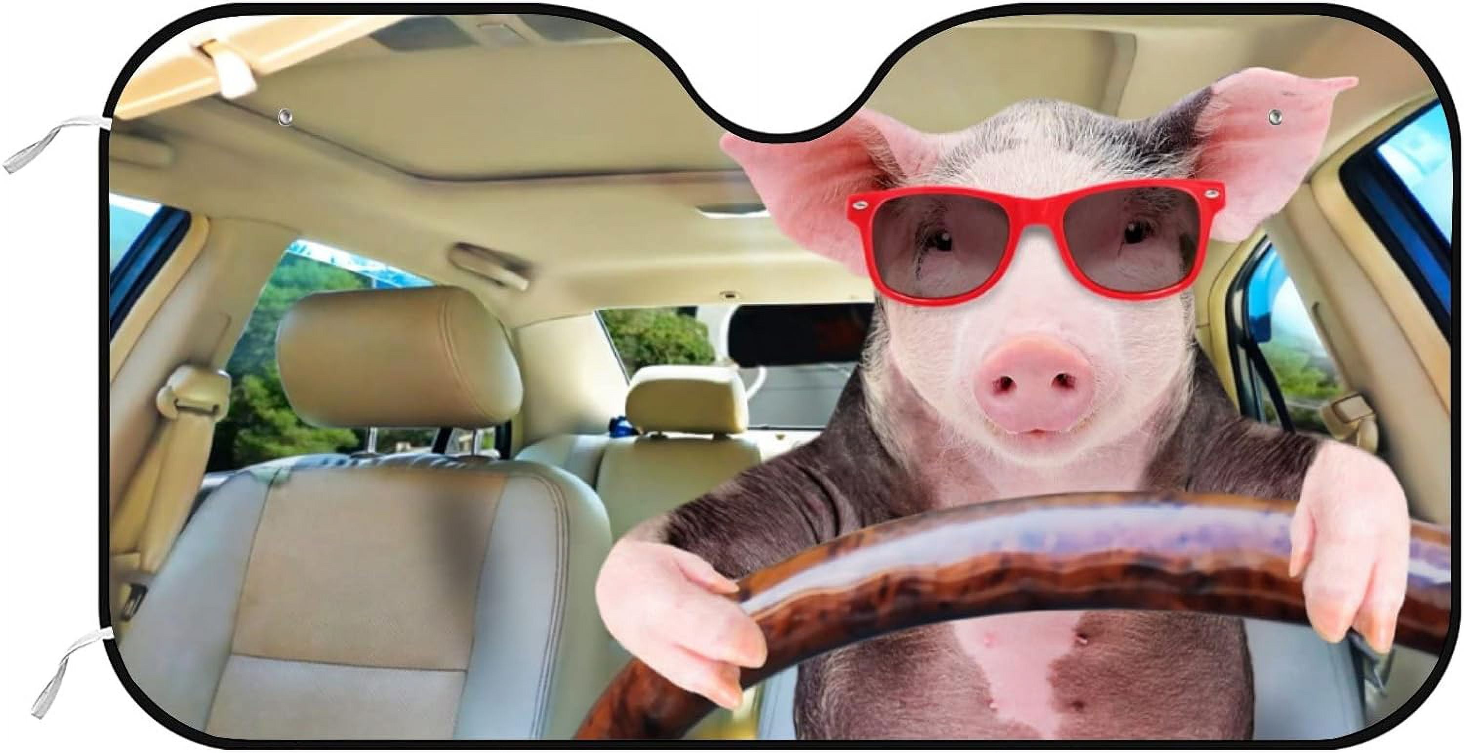 GZHJMY Car Windshield Sunshade Portrait of a Funny Pig Driving a car ...