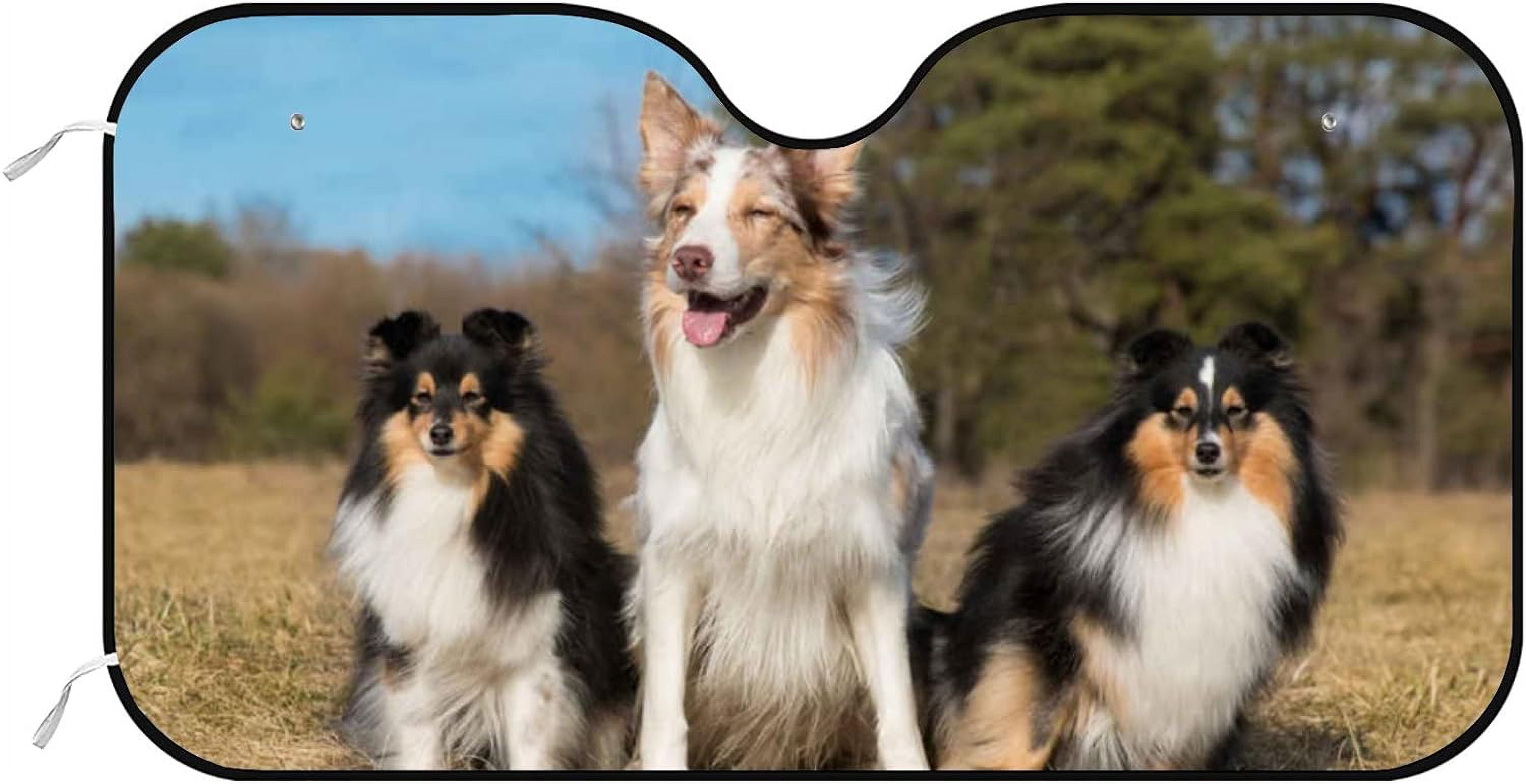 GZHJMY Car Windshield Sunshade Shetland Sheepdogs, Foldable Car Visor ...