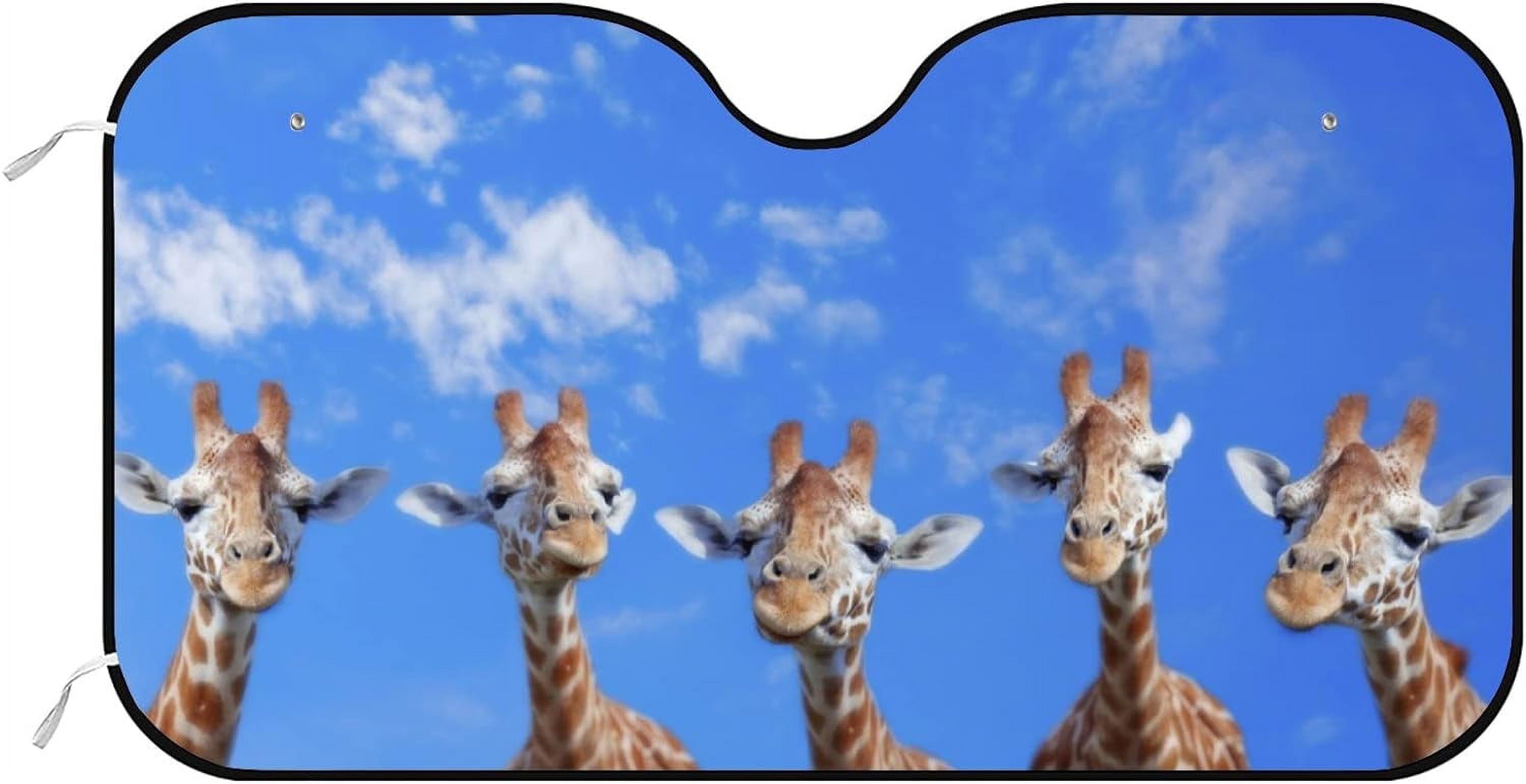 GZHJMY Car Windshield Sunshade The Heads of Five Giraffes, Foldable Car ...