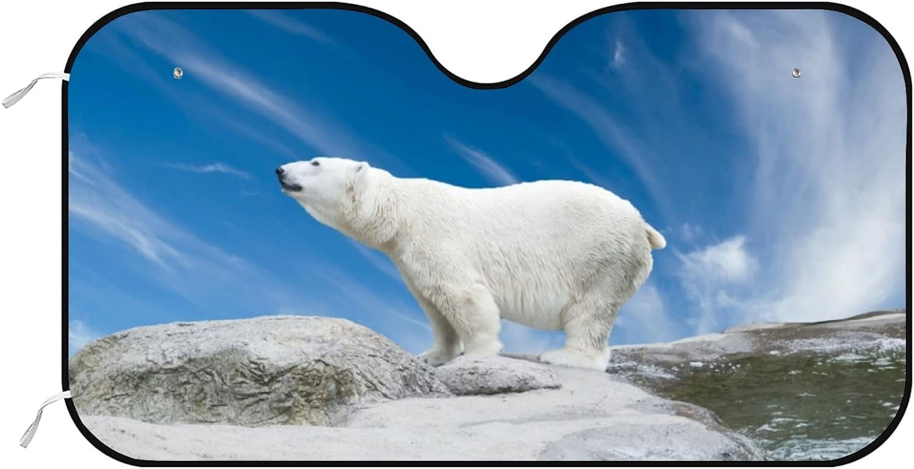 GZHJMY Car Windshield Sunshade White Polar Bear, Foldable Car Visor ...