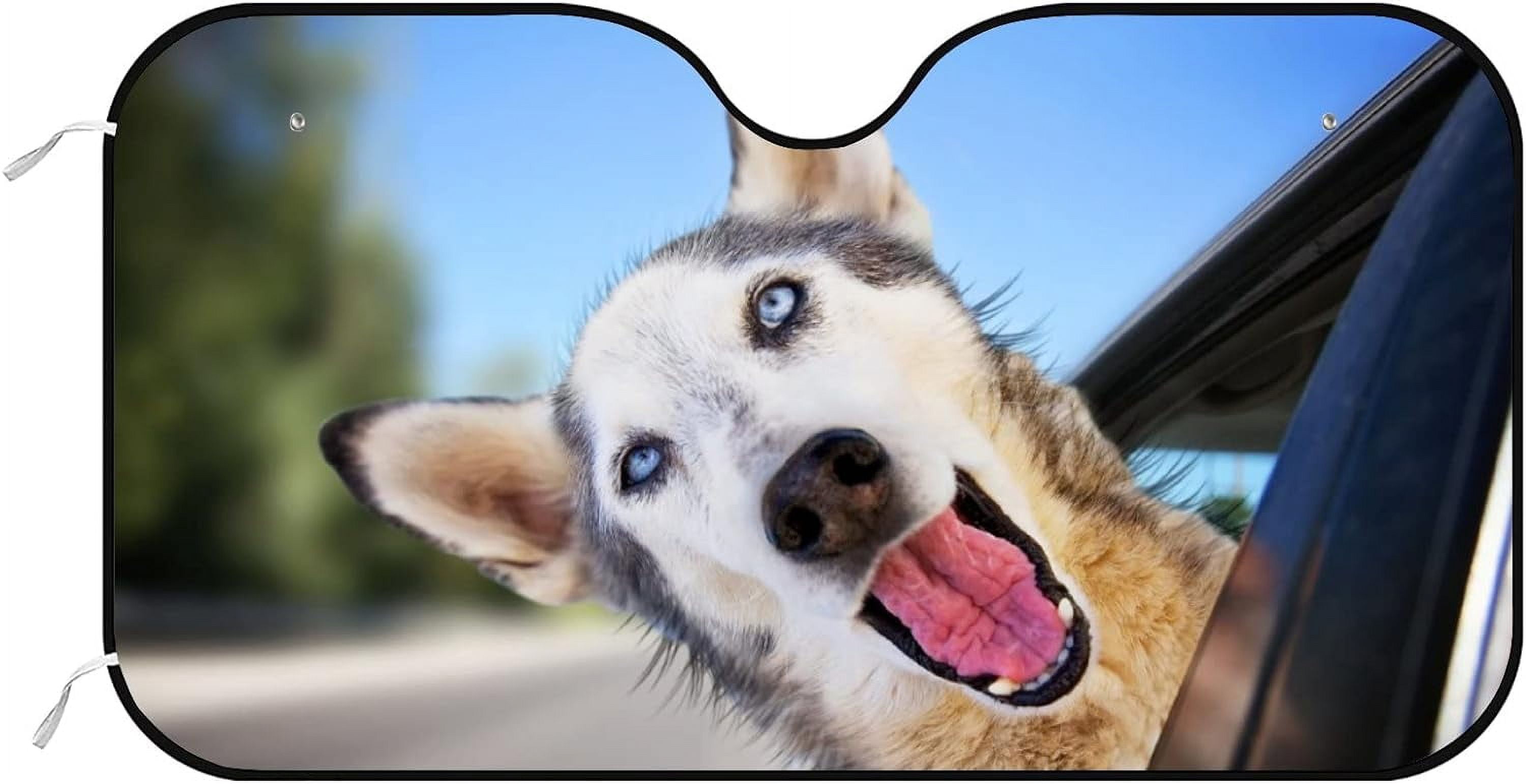 GZHJMY Car Windshield Sunshade a Funny Husky Wolf in The Car, Foldable ...