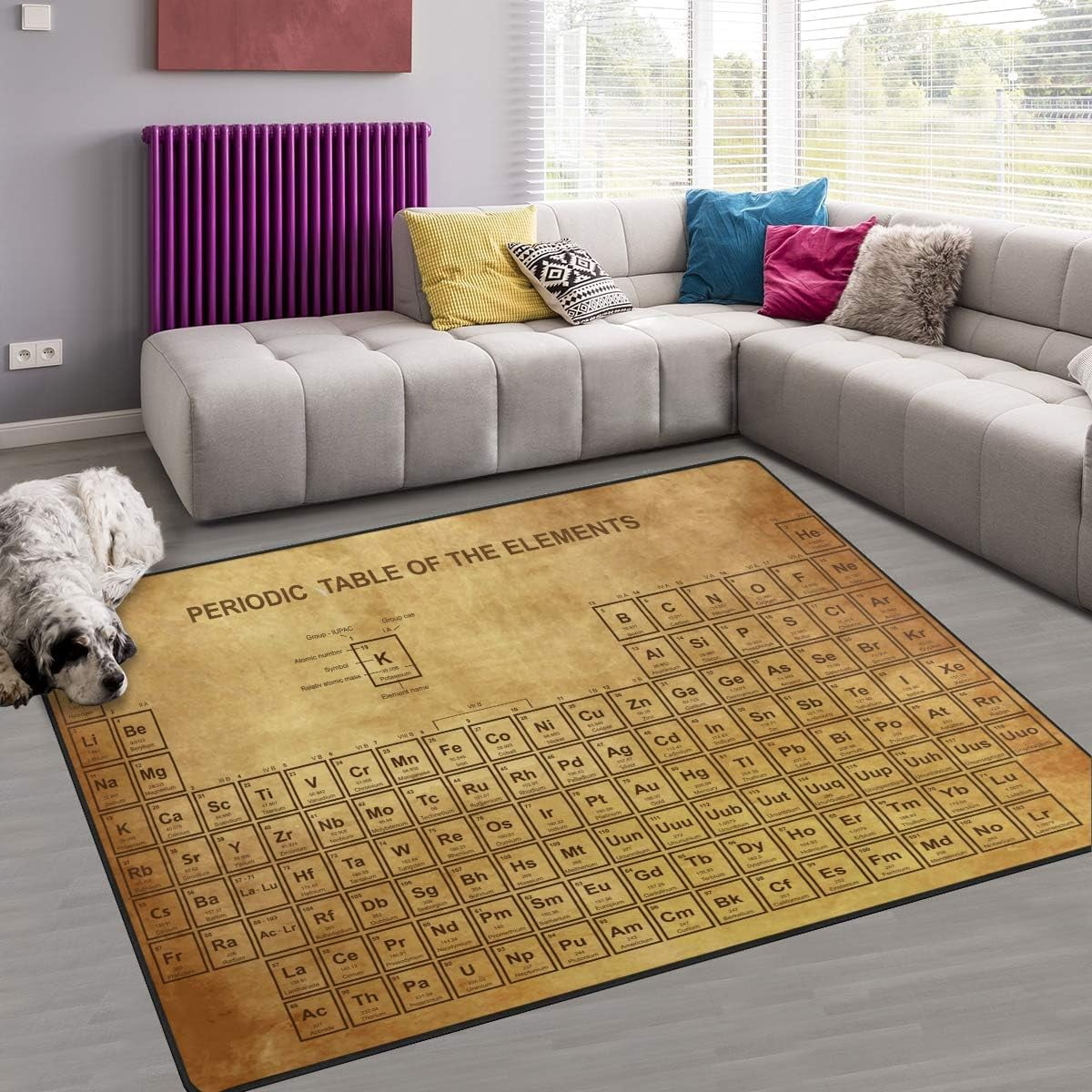 GZHJMY Chemistry Non Slip Area Rug for Living Dinning Room Bedroom ...
