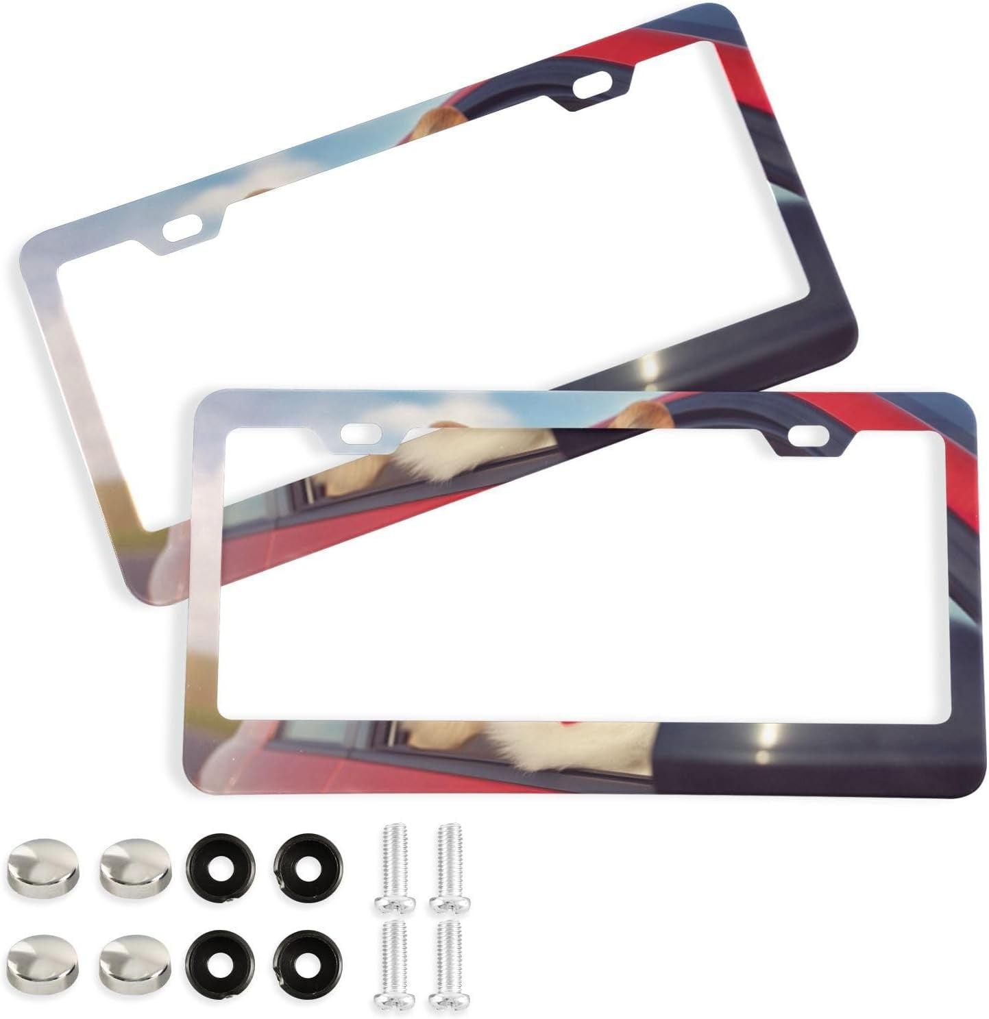 GZHJMY Cute Dogs License Plate Frames 2 Pack Aluminum License Plate ...