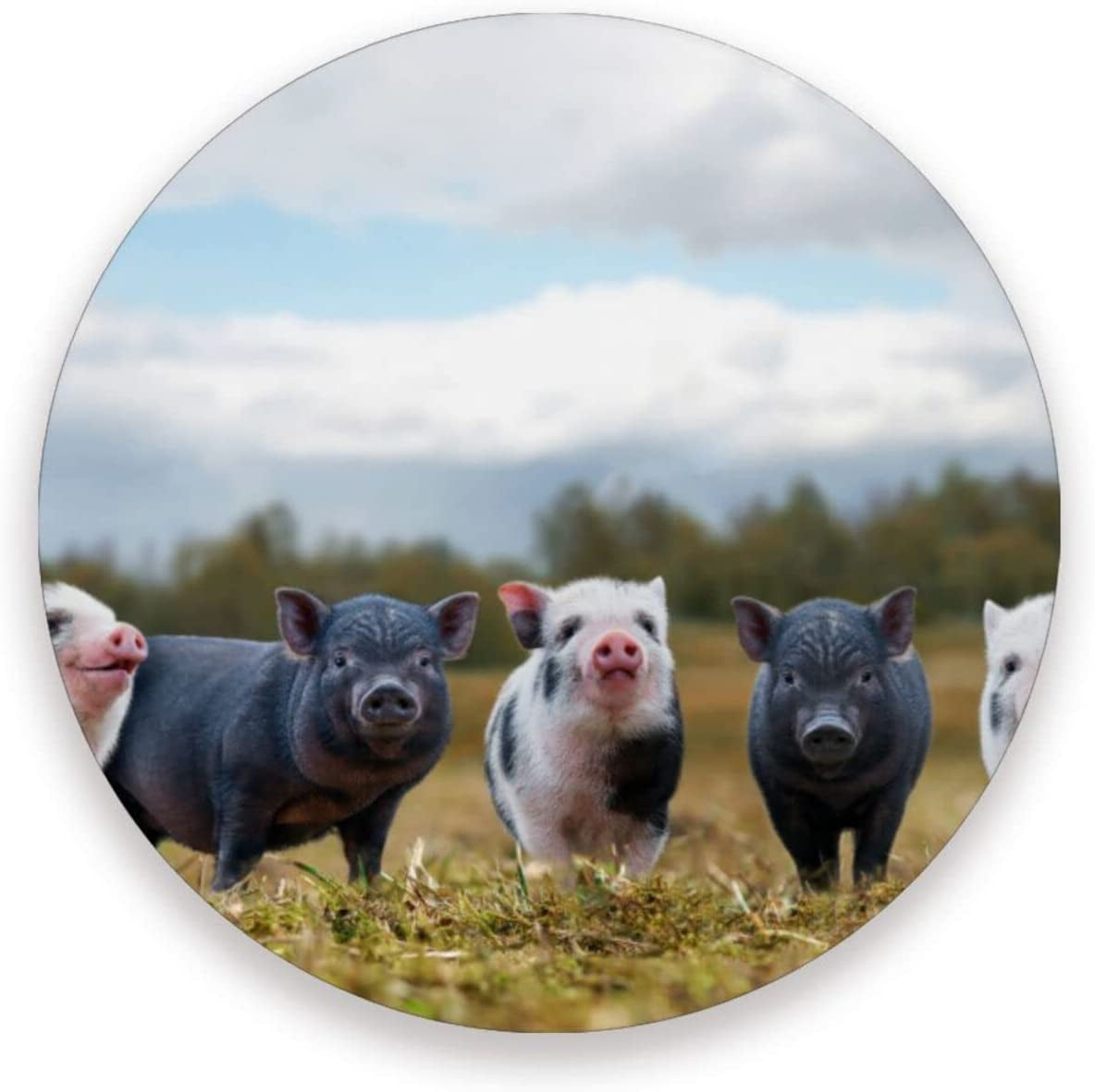 GZHJMY Cute Pig Coasters Absorbent Drink Coaster Ceramic Stone Coaster ...