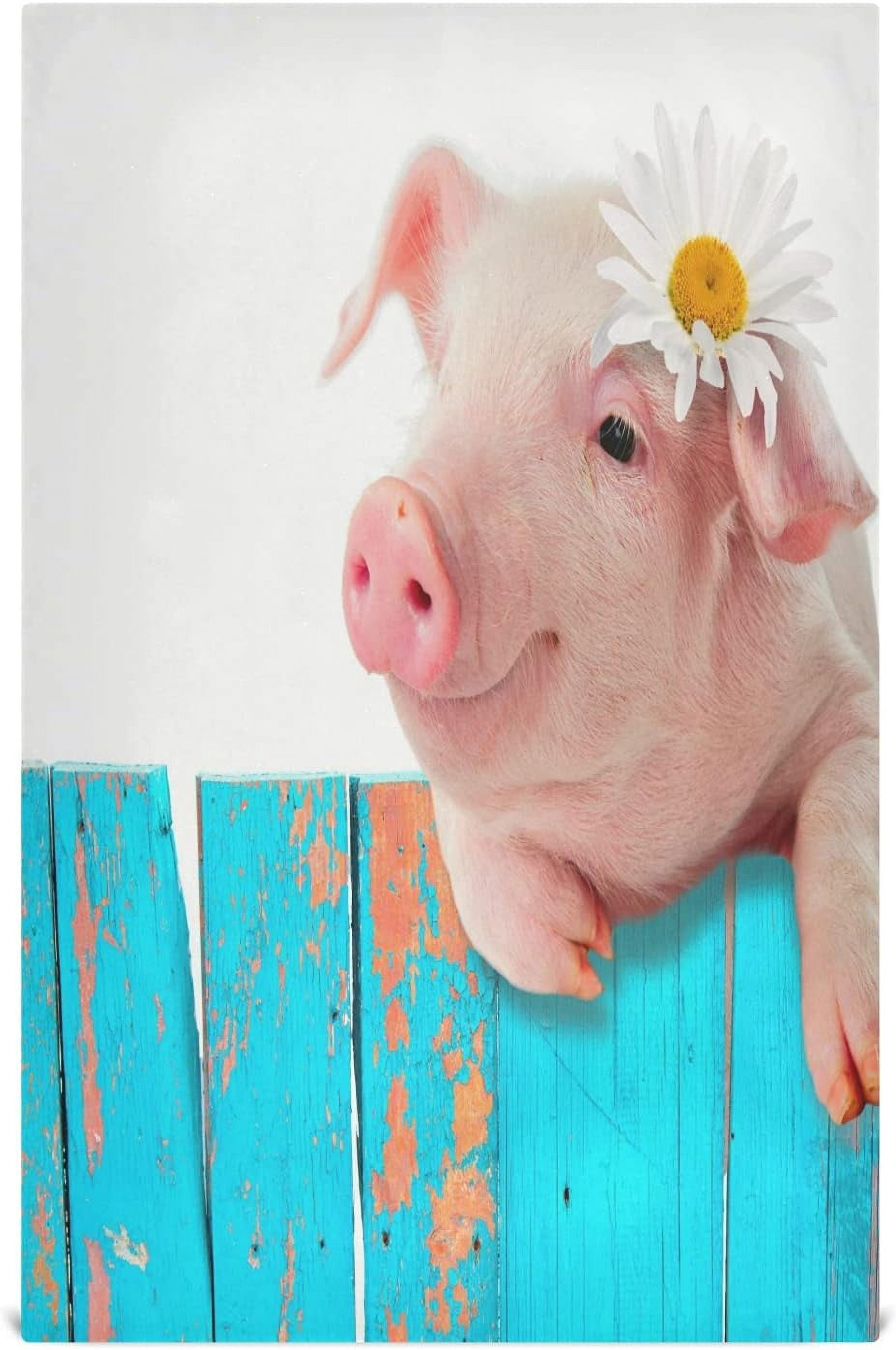 GZHJMY Cute Pig Piggy with Daisy Flower Kitchen Towels Bar Tea Dish ...