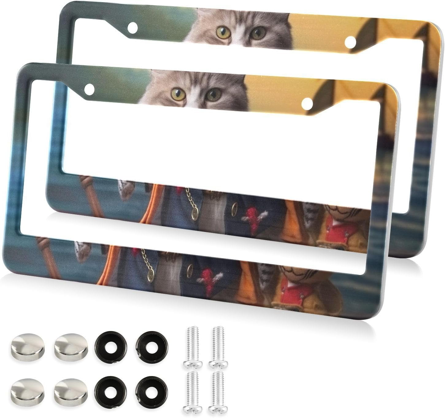 GZHJMY Cute Pirate Cat License Plate Frames 2 Pack Aluminum License ...