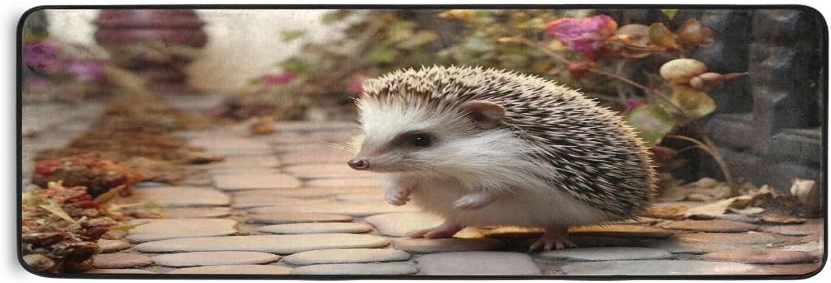 GZHJMY Cute Small Hedgehog Area Rug - 2' x 6' Washable Runner Rugs with ...