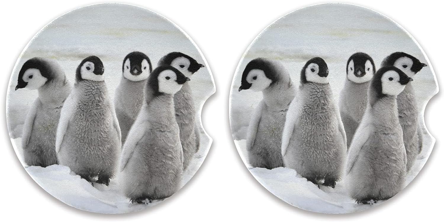 GZHJMY Emperor Penguin Car Coasters 2 Pieces, Absorbent Ceramic Cork ...