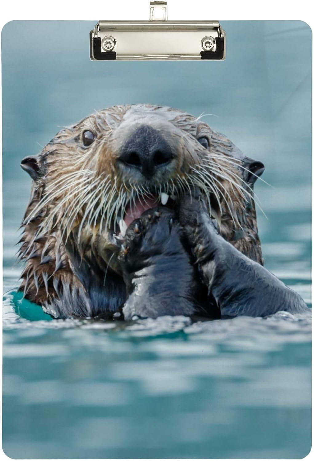 GZHJMY Floating Sea Otter Clipboard Classrooms Office Clipboard A4 ...