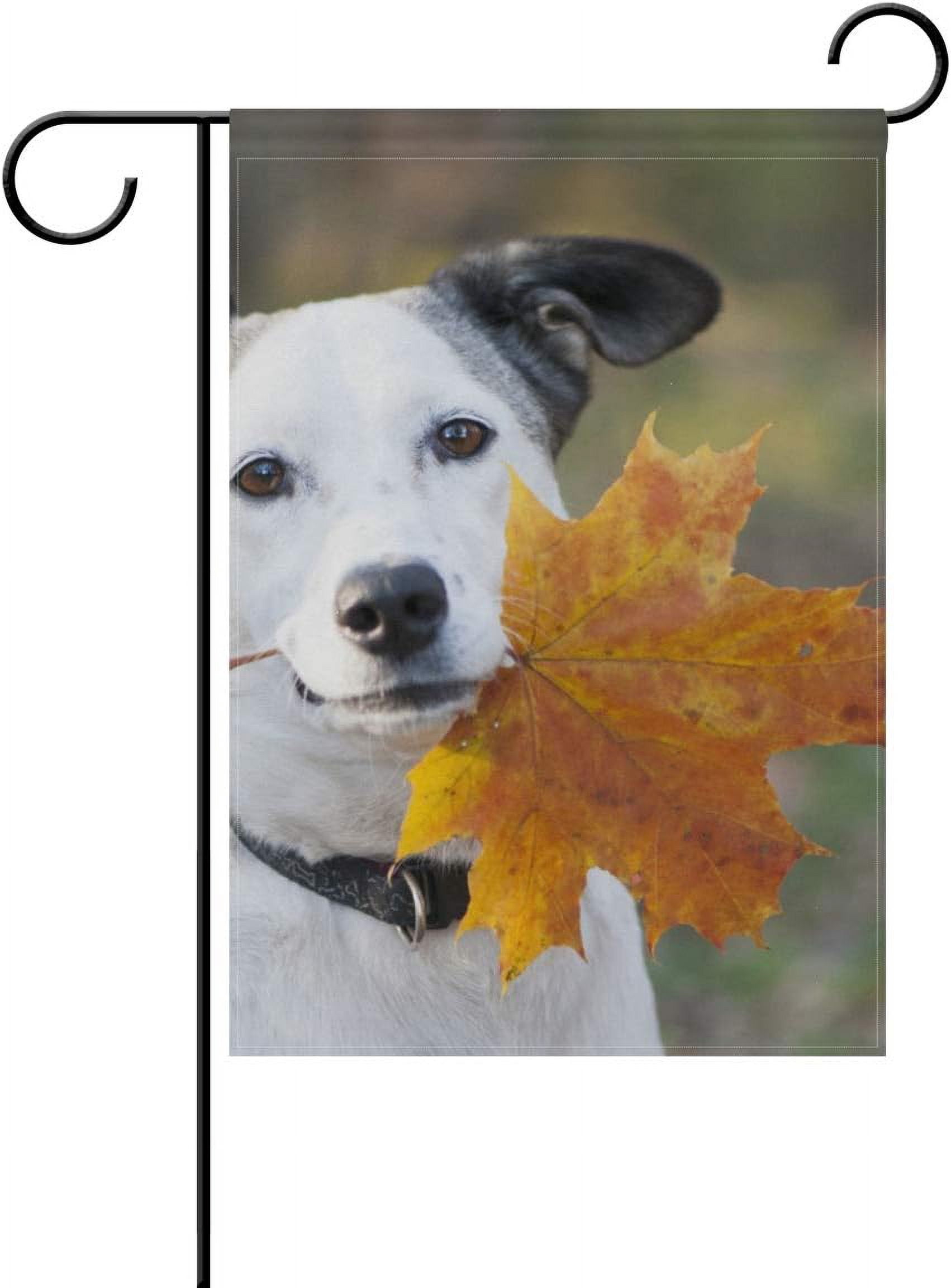 GZHJMY Funny Dog Holding Leaf Garden Flag Yard Banner Polyester for ...