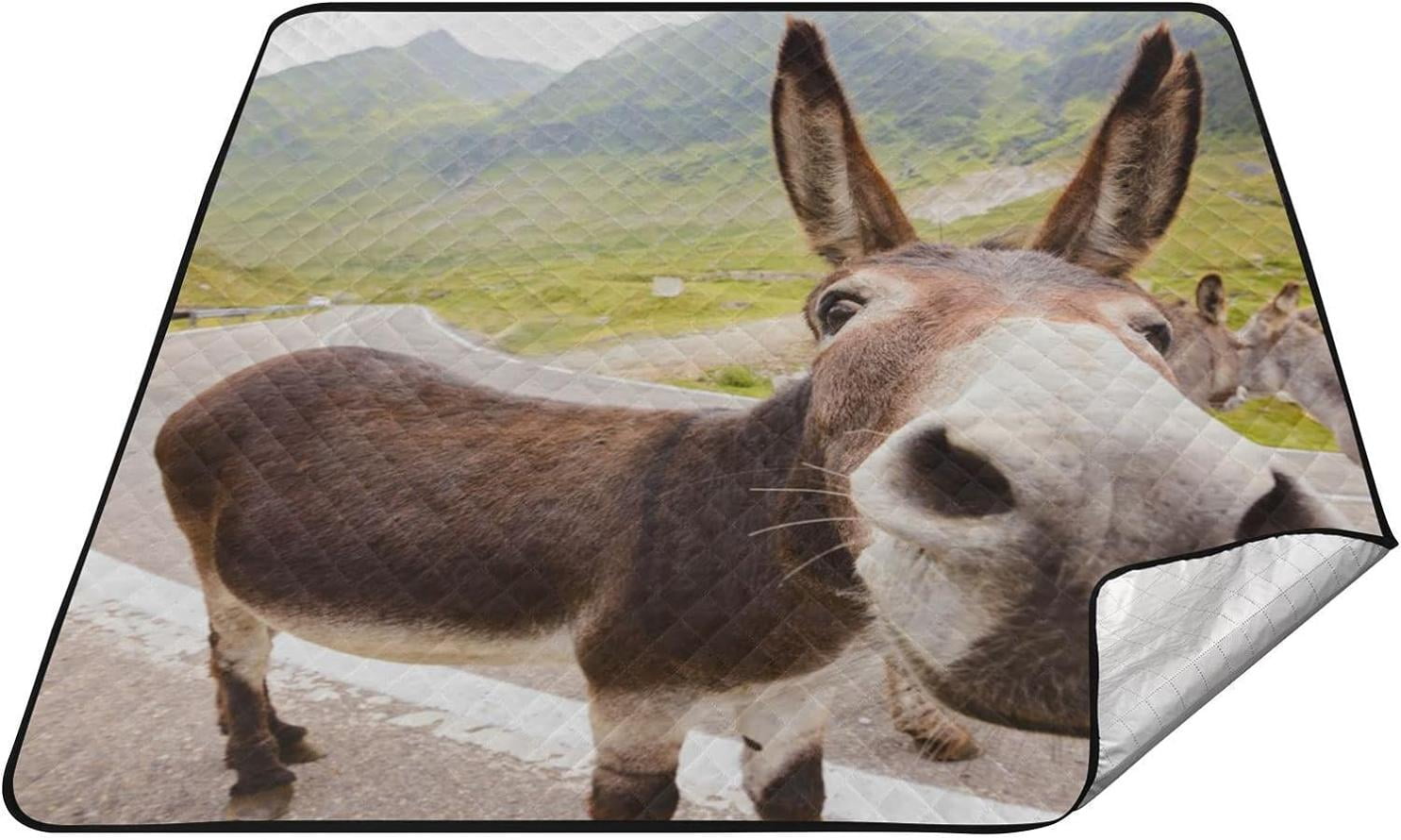 GZHJMY Funny Donkey Large Picnic & Outdoor Beach Blanket, Waterproof ...