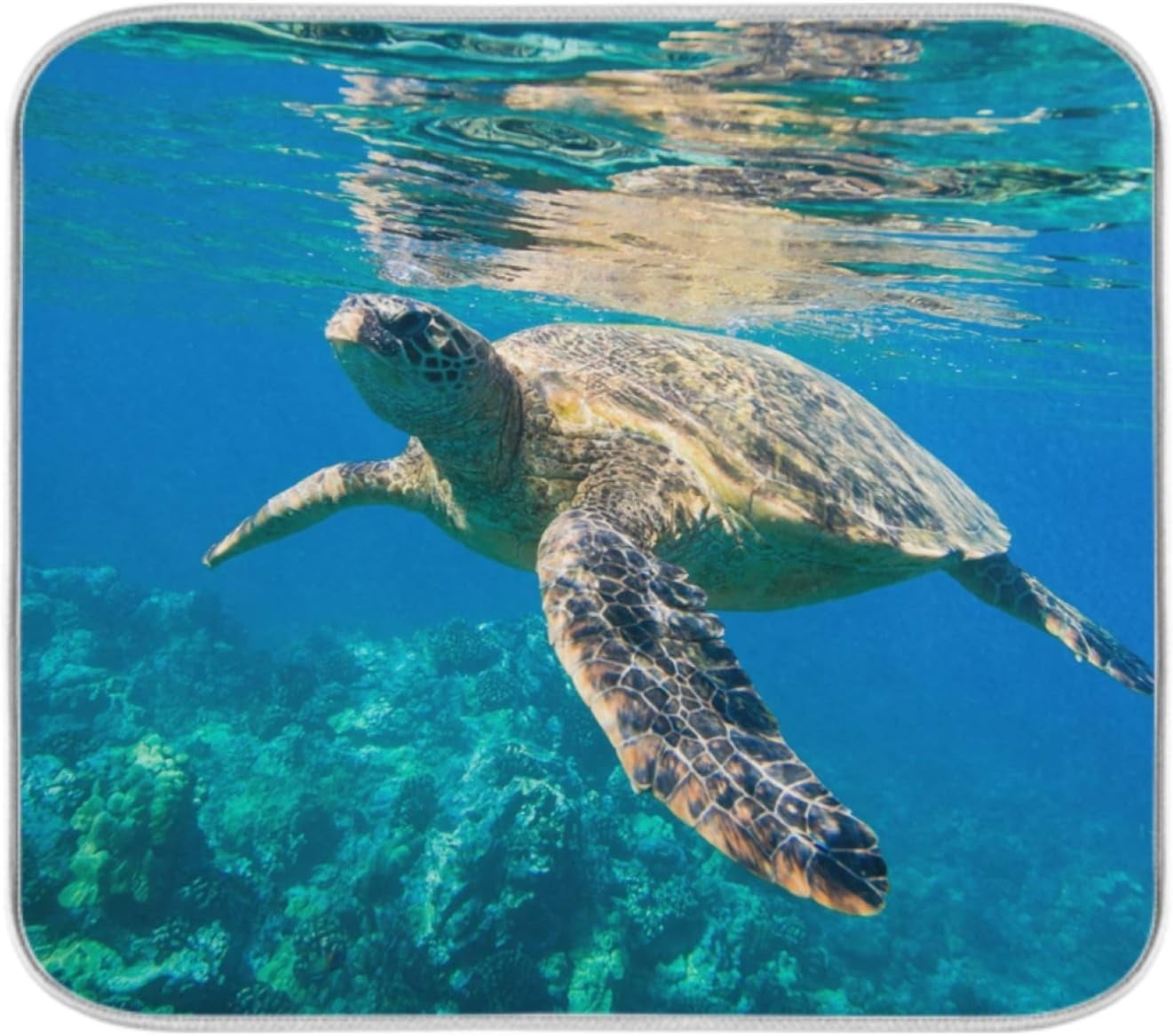 GZHJMY Green Sea Turtle Swimming Underwater Absorbent Dish Drying Mat ...