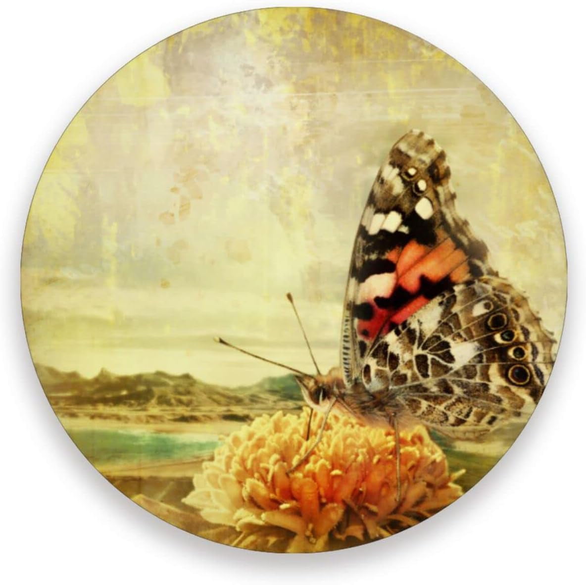 GZHJMY Grunge Texture Butterfly Coasters for Drinks Set of 4, Absorbent ...