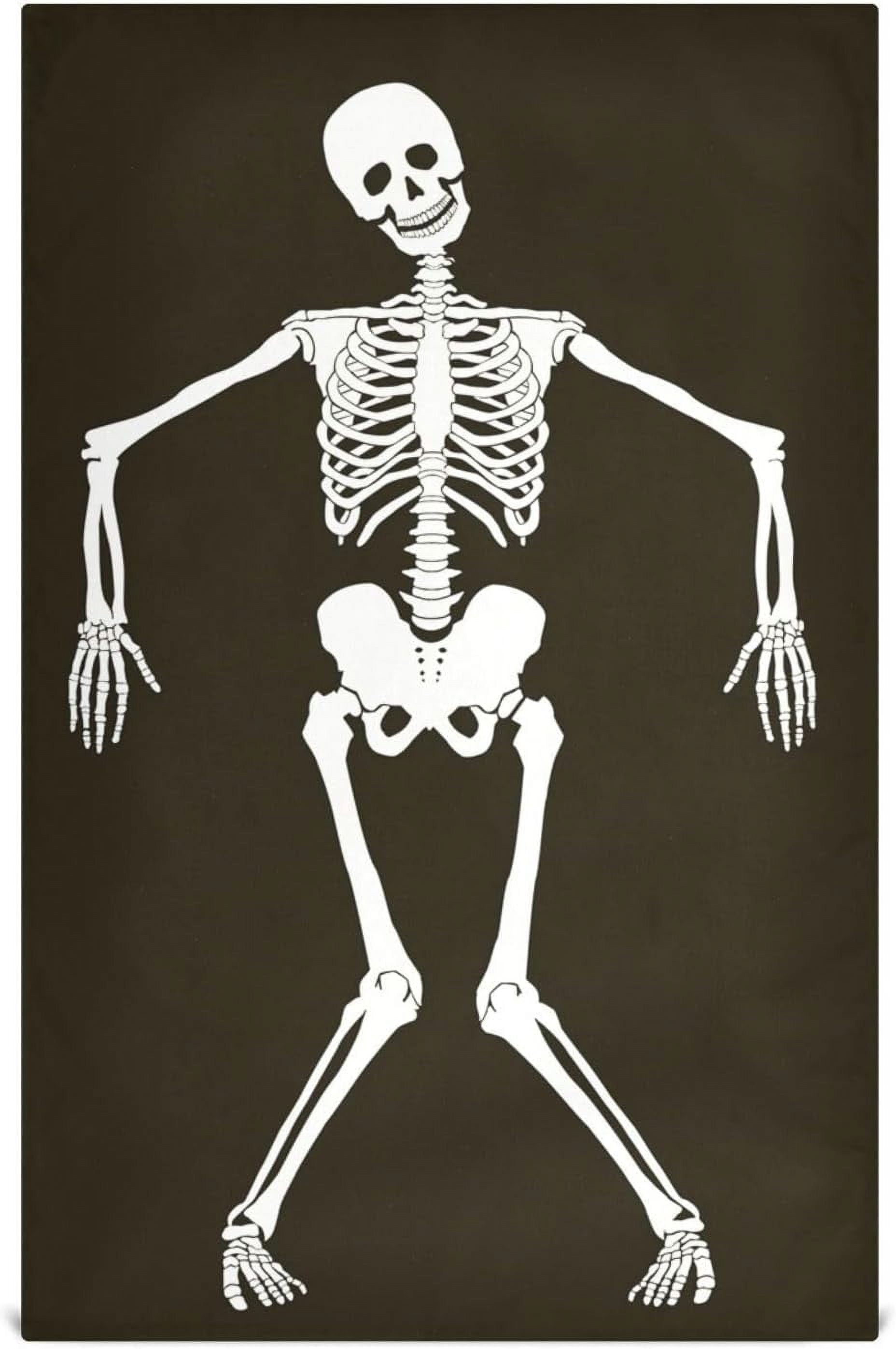 GZHJMY Halloween Funny Skeleton Kitchen Dish Towel Set, Drying Kitchen ...