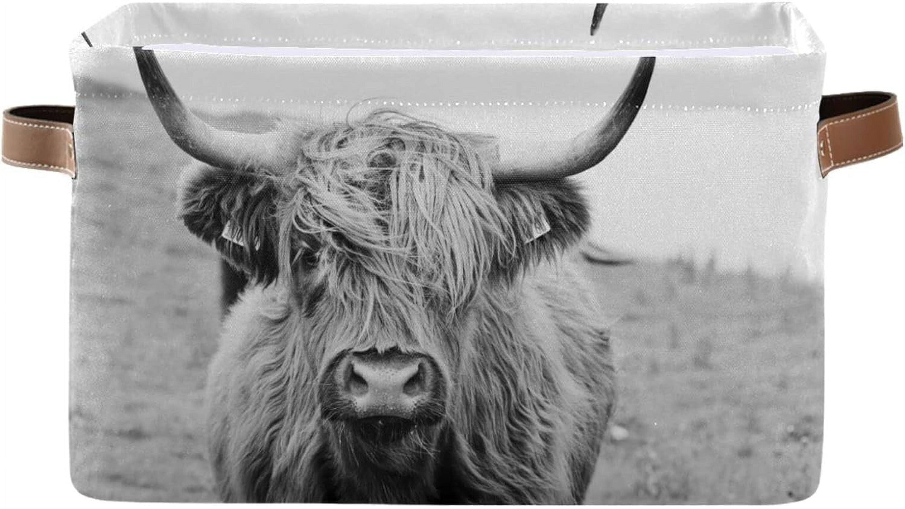 GZHJMY Highland Cow Storage Baskets Rectangle Foldable Canvas Fabric ...