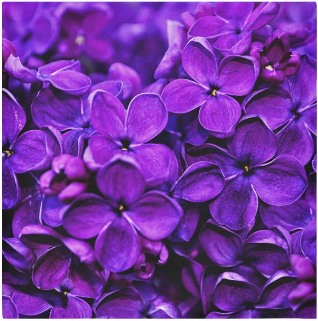 GZHJMY Lilac Flower Cloth Napkins Set of 4, Reusable Washable Polyester ...