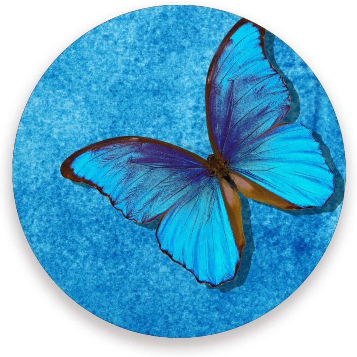 GZHJMY Morpho Blue Butterfly Coasters for Drinks Set of 4, Absorbent ...