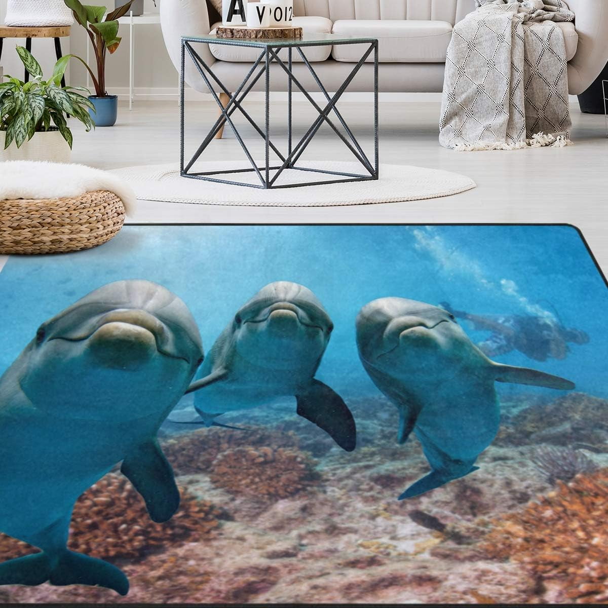 GZHJMY Ocean Animal Area Rug 4'x6', Funny Dolphin Looking at You ...