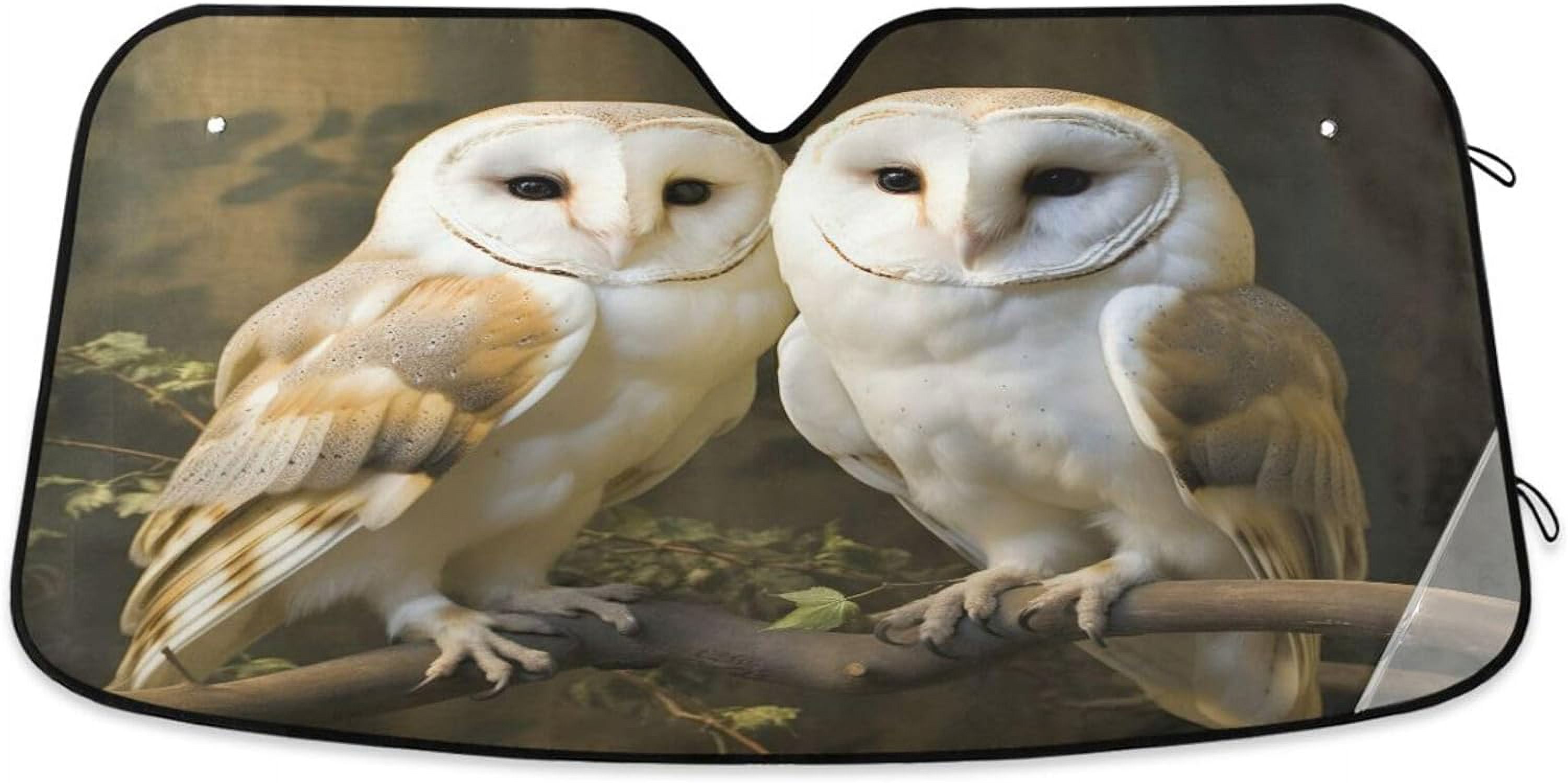GZHJMY Owl Car Windshield Sun Shade Foldable Sun Shield Shade for ...