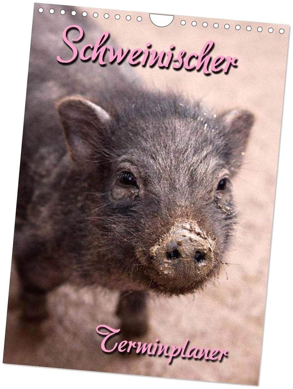GZHJMY Pig schedule planner, US-Version (Wall Calendar 2026 DIN ...