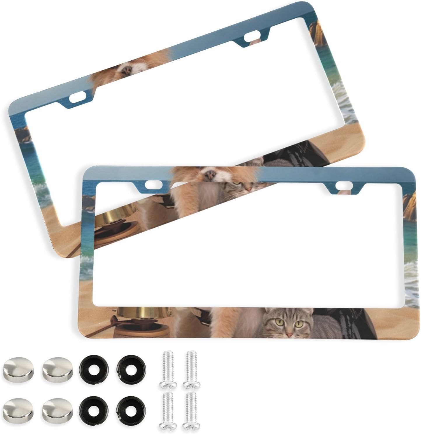 GZHJMY Pirate Cats License Plate Frames 2 Pack Aluminum License Plate ...