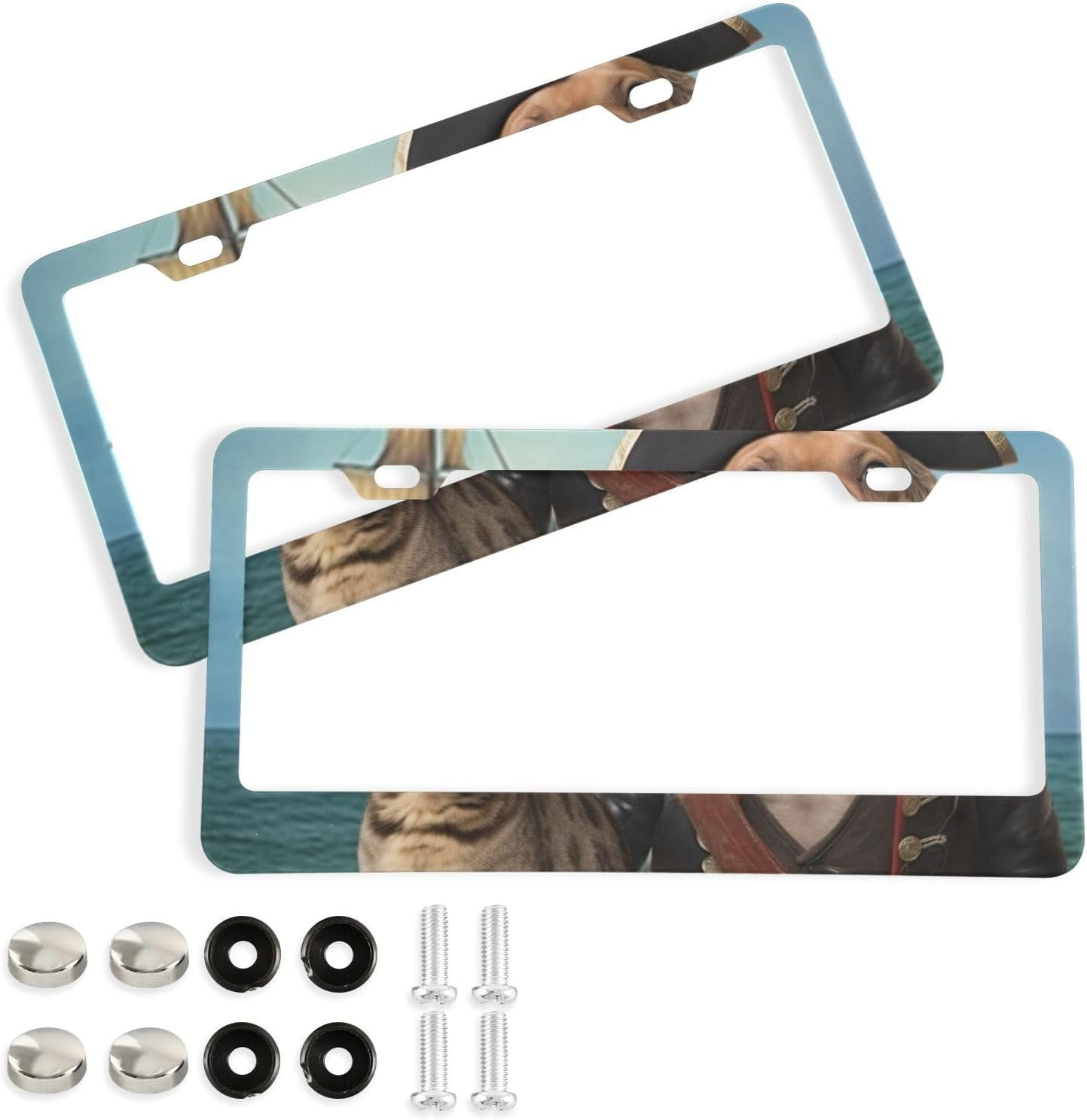 GZHJMY Pirate Dog License Plate Frames 2 Pack Aluminum License Plate ...