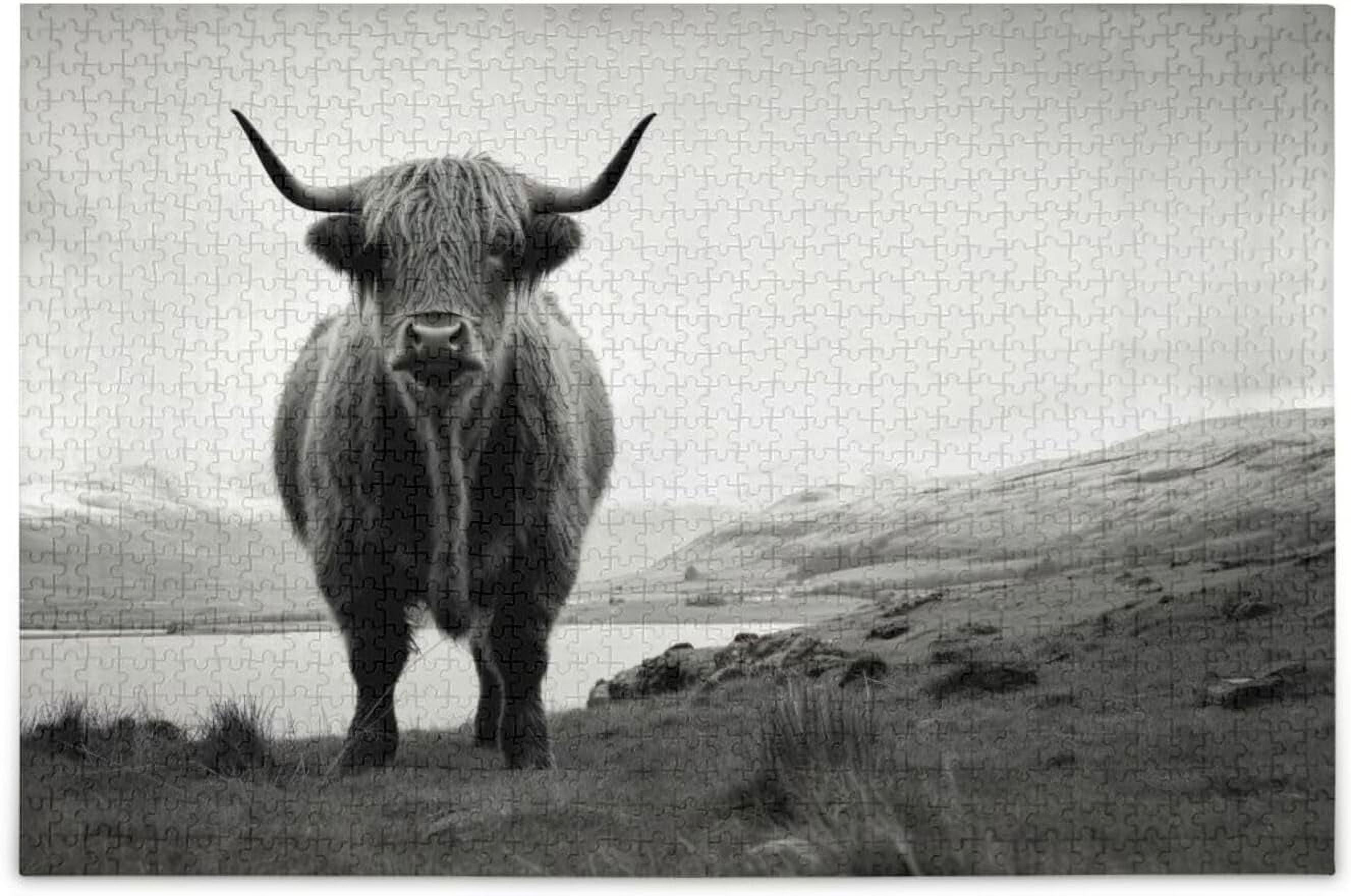 GZHJMY Puzzle- Highland Cow Jigsaw Puzzles,1000 Piece Puzzles for ...