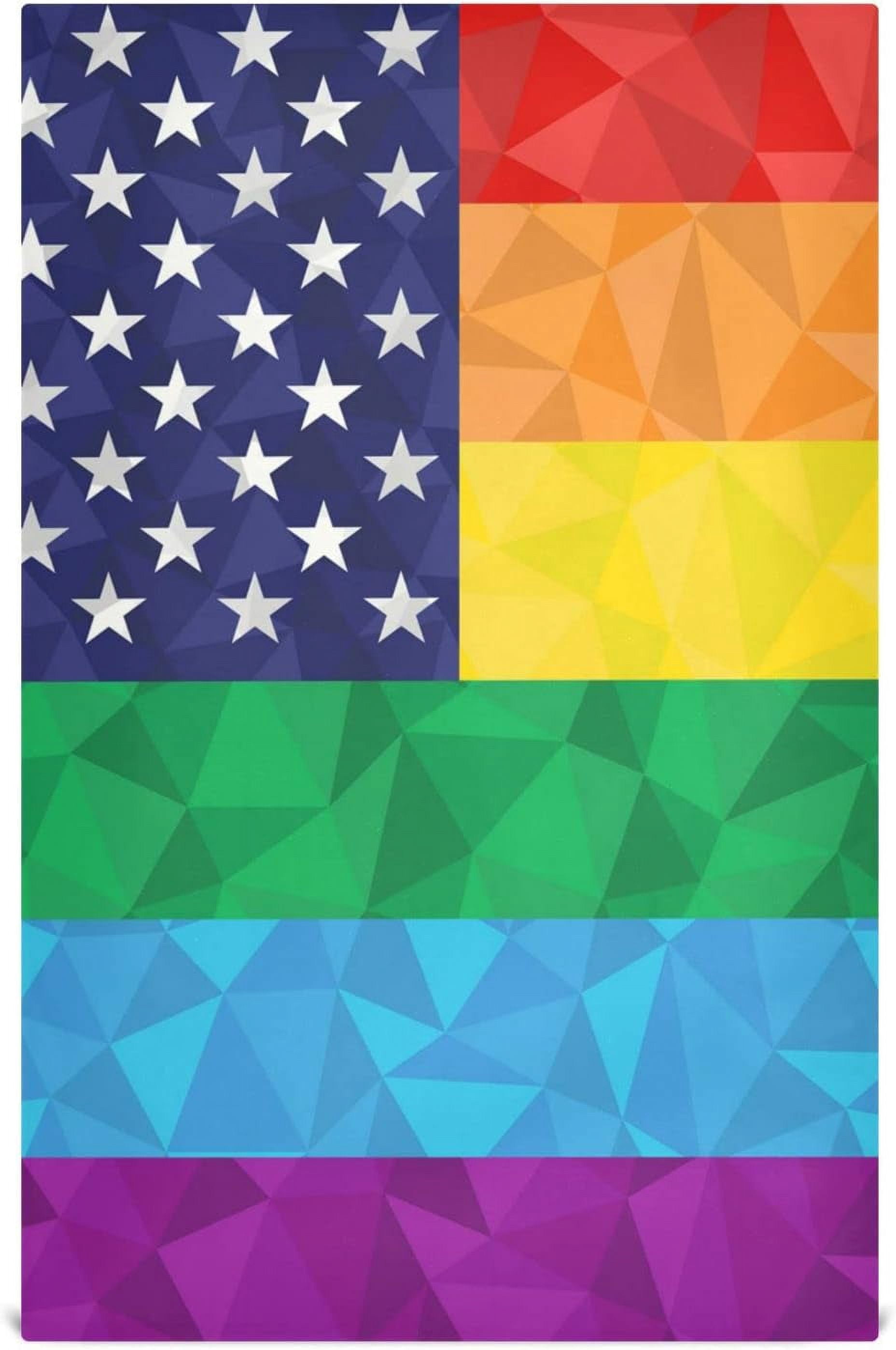 GZHJMY Rainbow Flag Kitchen Towel, Dish Towels Quick Drying Tea Towels ...