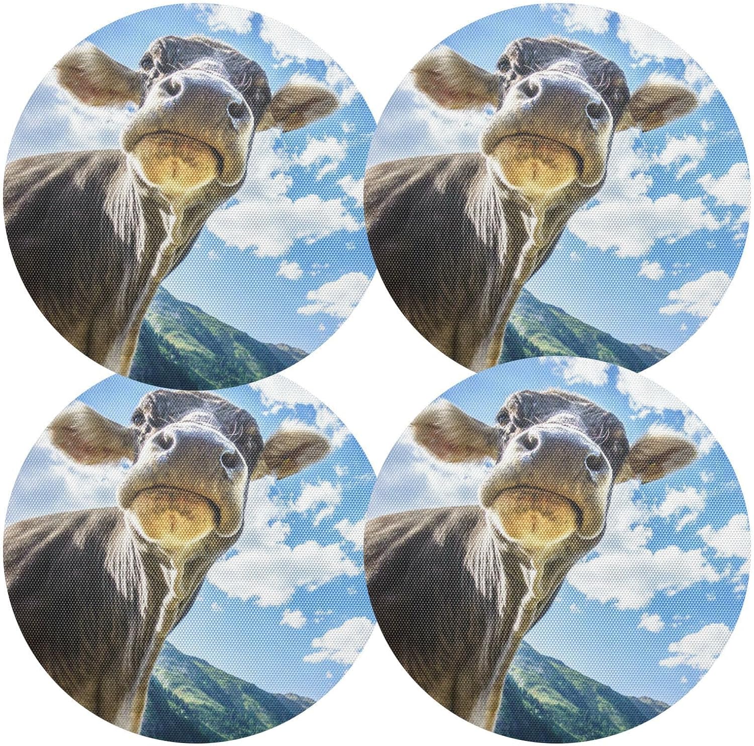 GZHJMY Round Braided Placemats Set of 4 Funny Animal Cow Round PVC ...