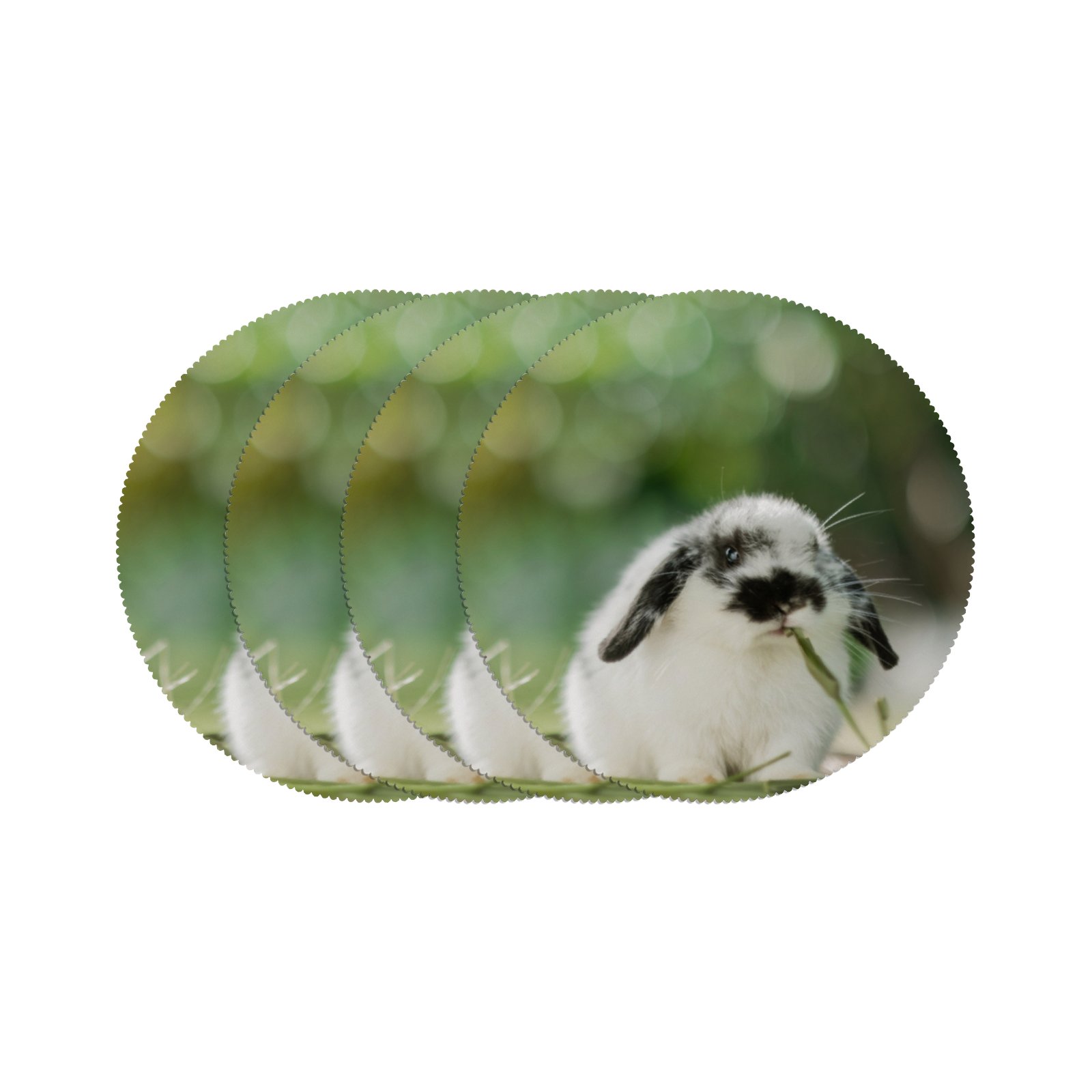 GZHJMY Round Placemats Set, Rabbit Eating Grass Holland Lop Washable ...