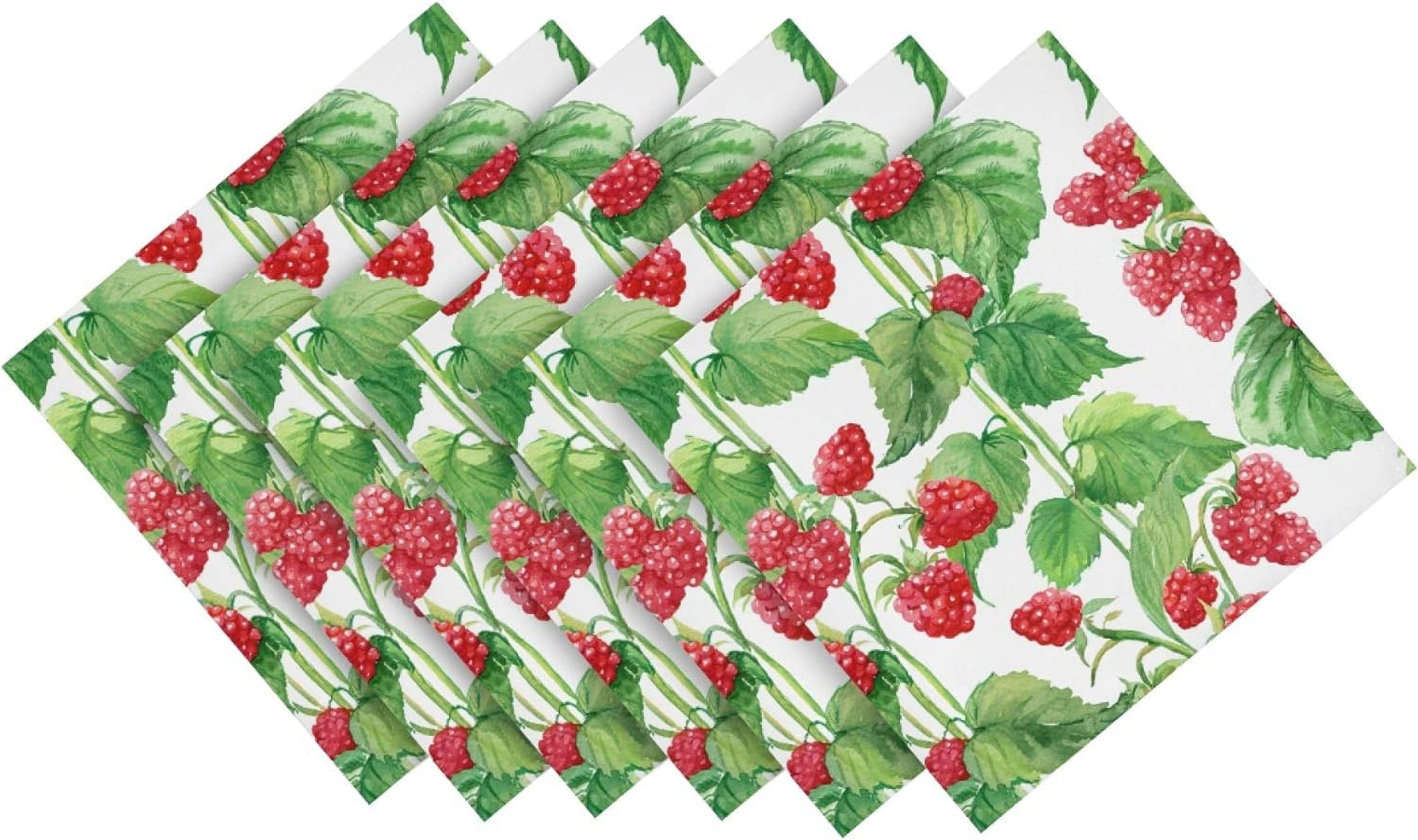 GZHJMY Set of 6 Watercolor Berry Raspberry Wild Fruit Strawberry with ...