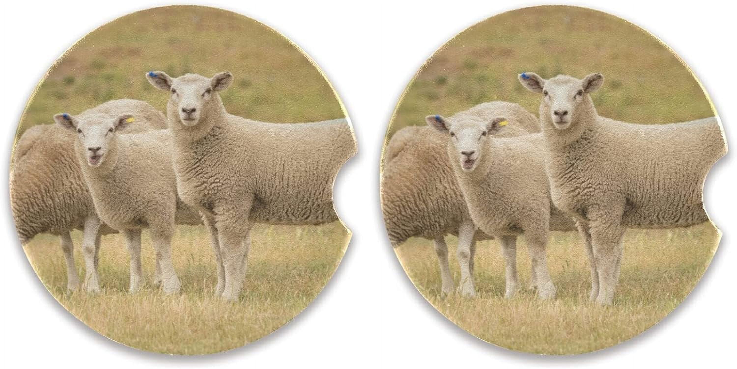 GZHJMY Sheep car Coaster 2 Pieces, Absorbent Ceramic Cork Base car ...