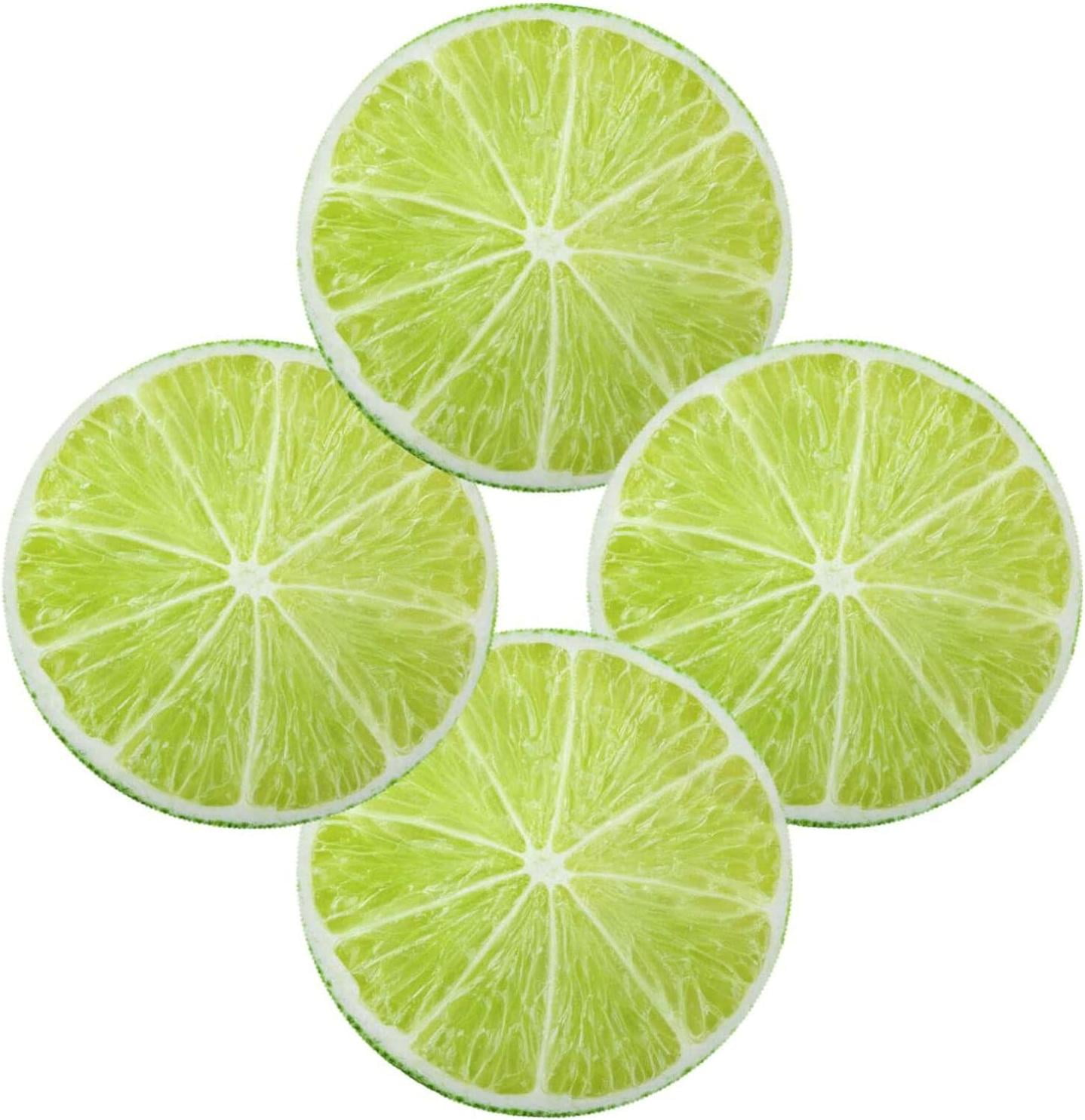 GZHJMY Slice of Lime Citrus Round Placemats for Dining Table, Non-Slip ...