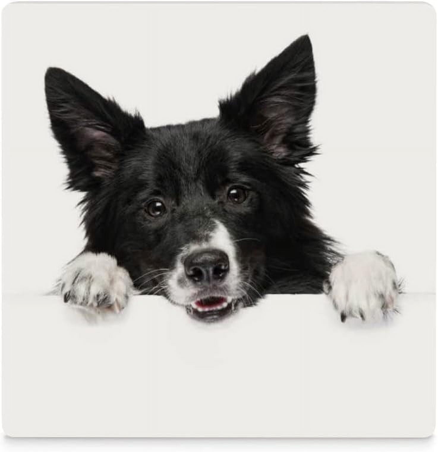 GZHJMY Square Drink Coasters, 1 Pcs Dog Breeds Border Collie Stands ...