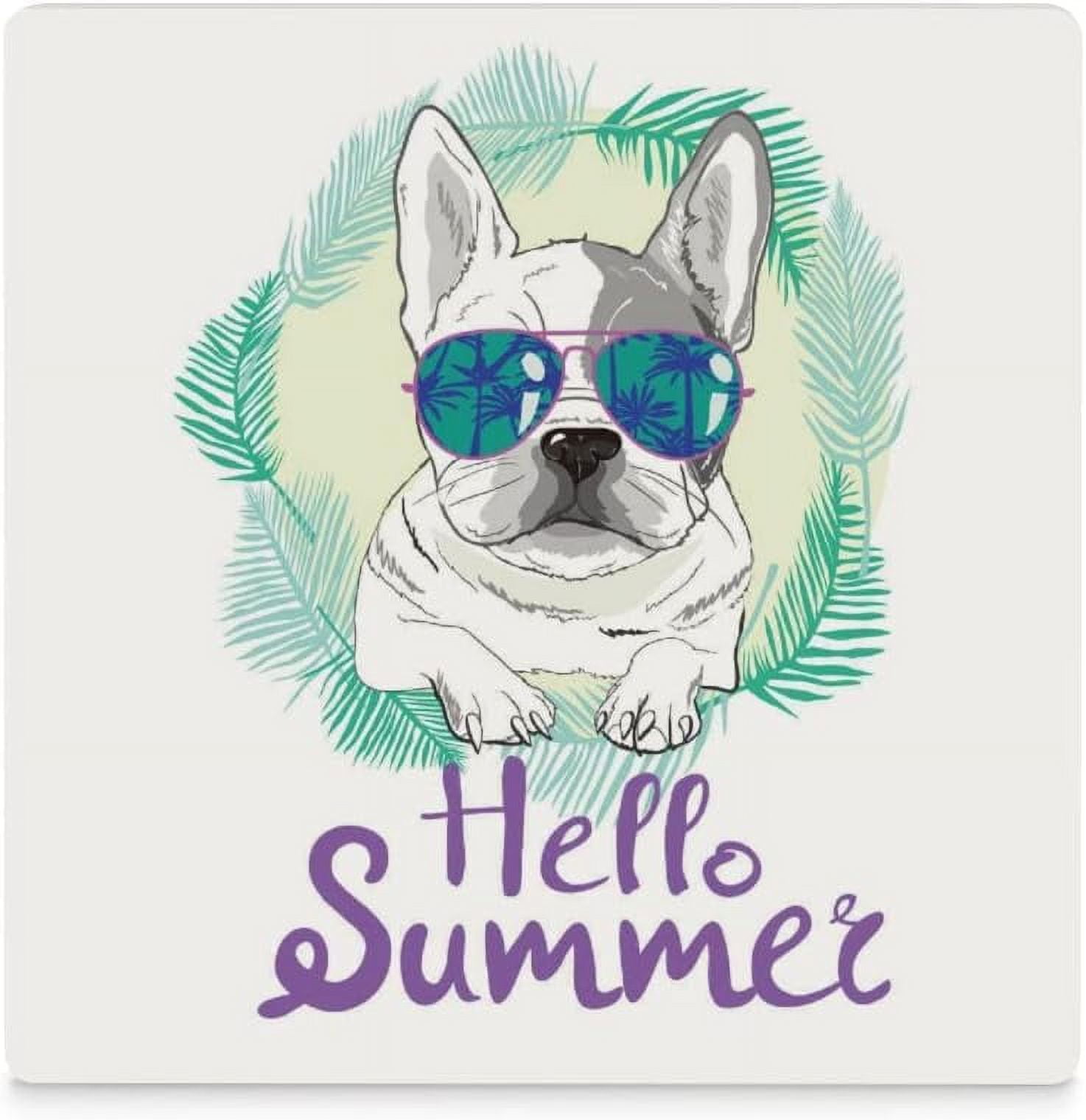 GZHJMY Square Drink Coasters, 1 Pcs Hello Summer Puppy Pug Dog ...