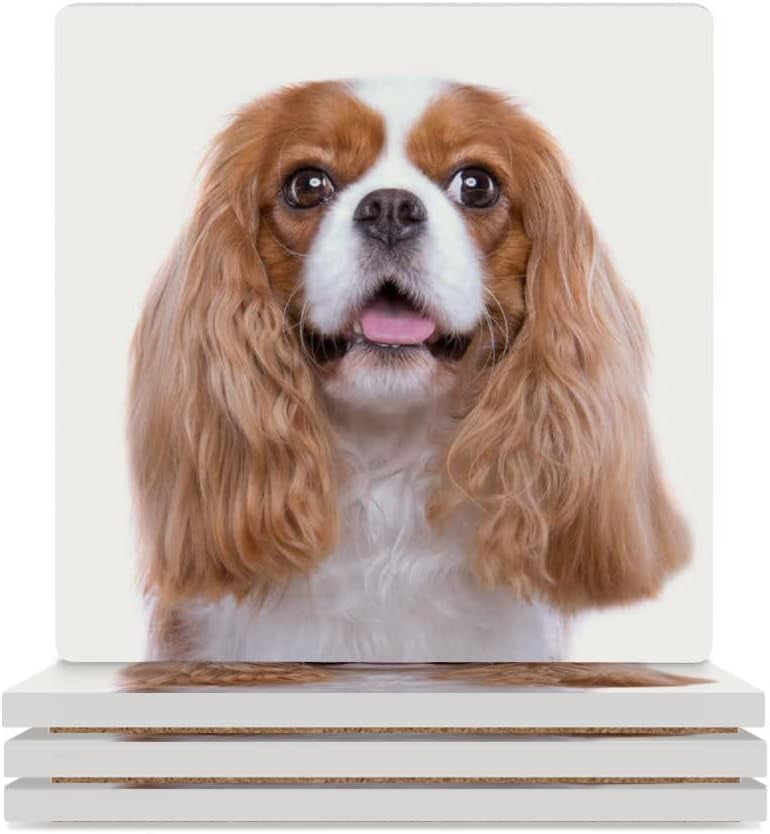 GZHJMY Square Drink Coasters 2 Pcs Beautiful Spaniel Dog on White ...