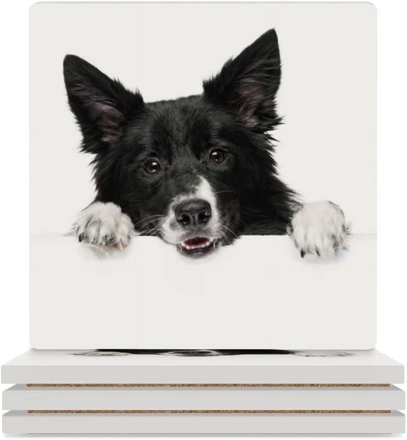GZHJMY Square Drink Coasters, 6 Pcs Dog Breeds Border Collie Stands ...