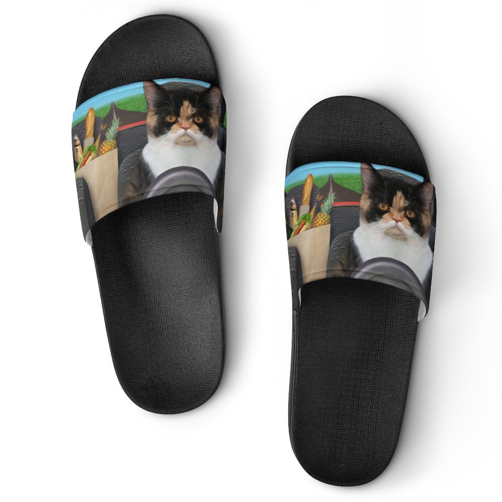 GZHJMY Stylish Slides for Women Men, The Multi Colored Cat Is Driving A ...