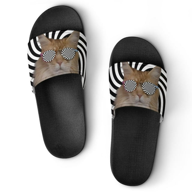 GZHJMY Stylish Slides for Women Men, beautiful cool disco cat with ...