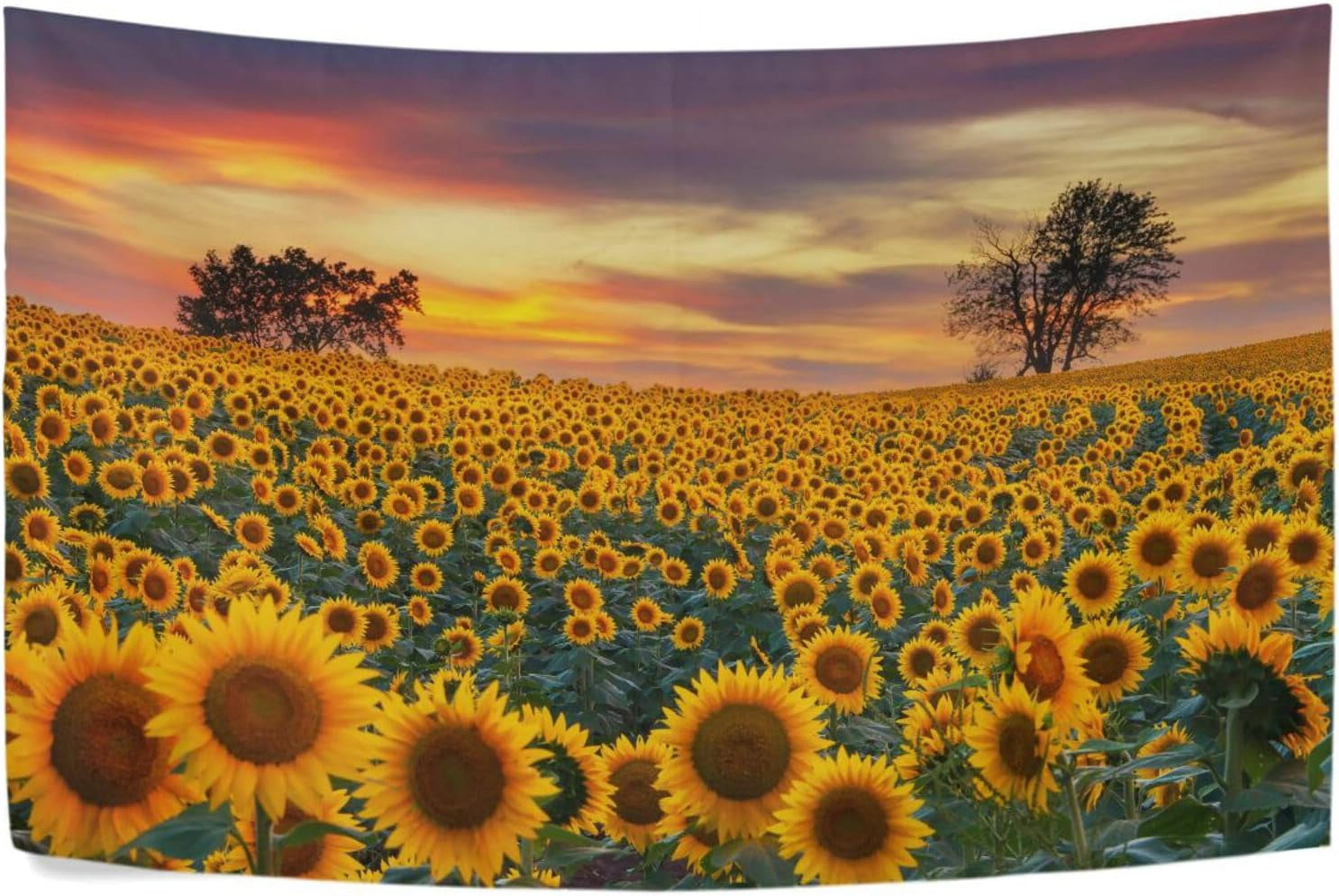 GZHJMY Sunflower Tapestry Aesthetic Tapestry for Bedroom Living Room ...
