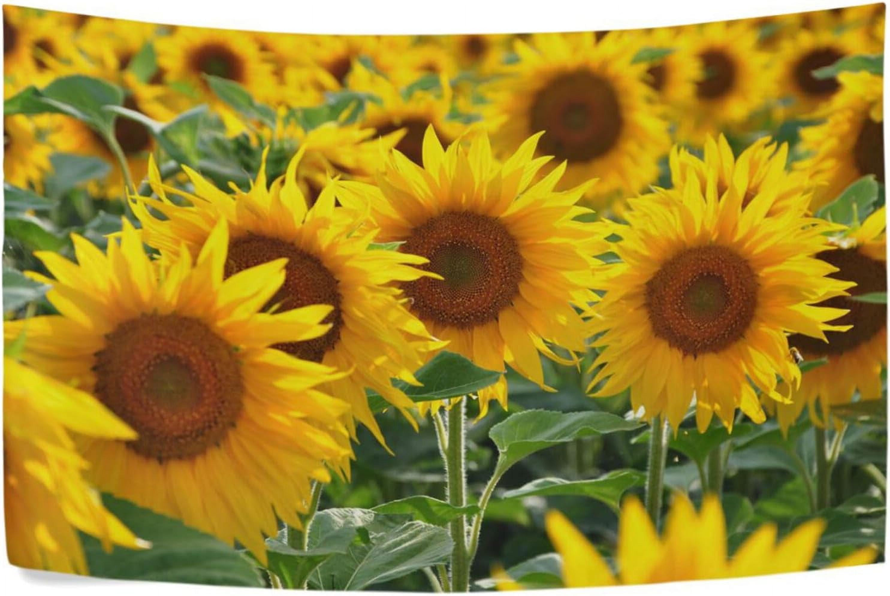 GZHJMY Sunflowers Tapestry Aesthetic Tapestry for Bedroom Colorful Wall ...