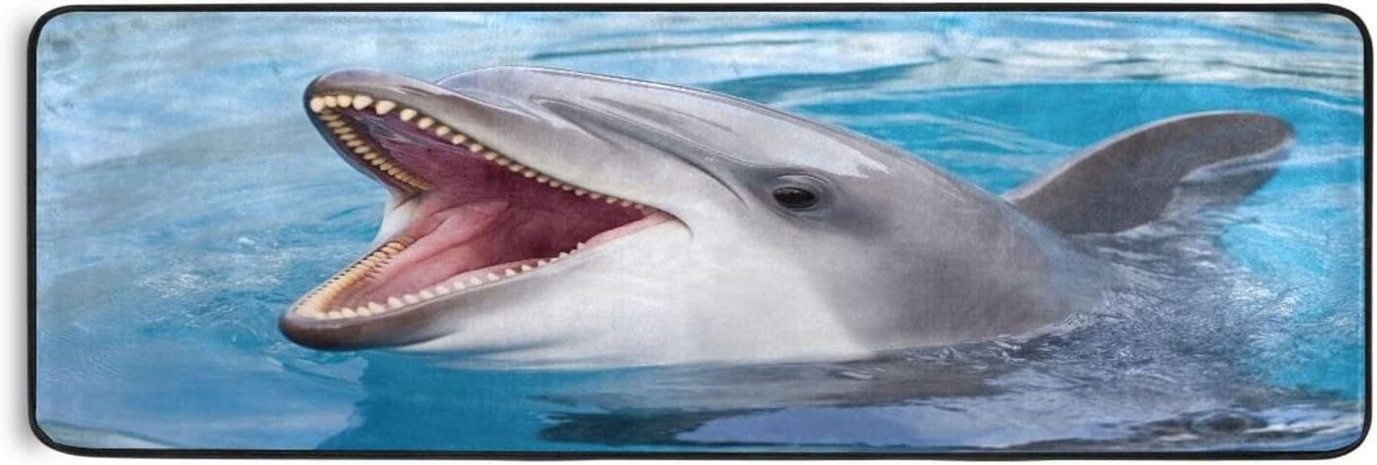 GZHJMY Swimming Dolphin Area Rug - 2' x 6' Washable Runner Rugs with ...