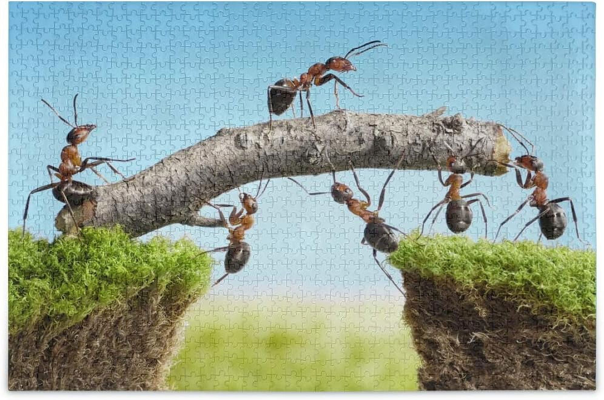GZHJMY Team Ant Puzzles for Adults 500 Pieces Animal Puzzle Set, Funny ...