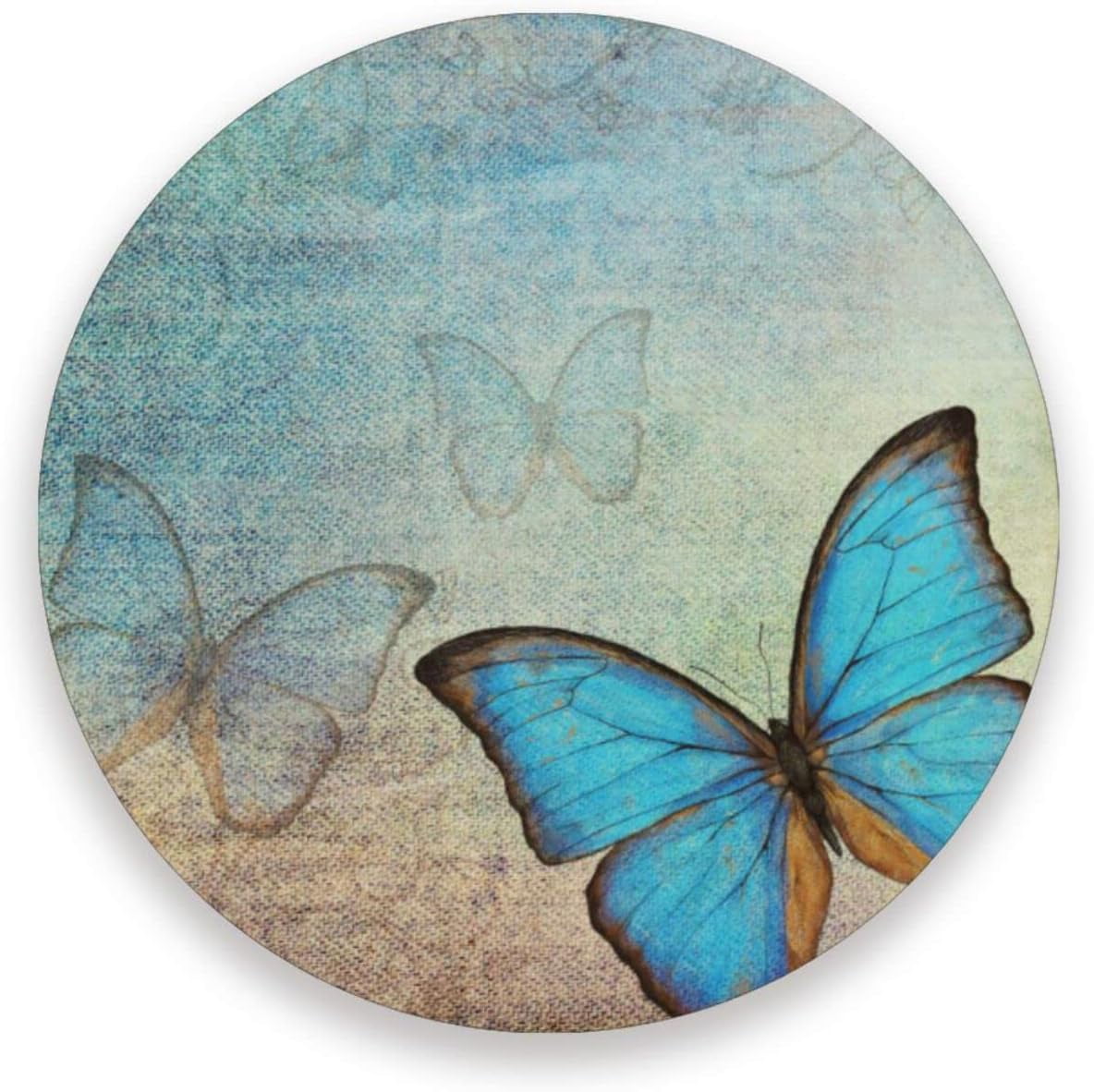 GZHJMY Vintage Butterfly Coasters for Drinks Set of 4, Absorbent ...