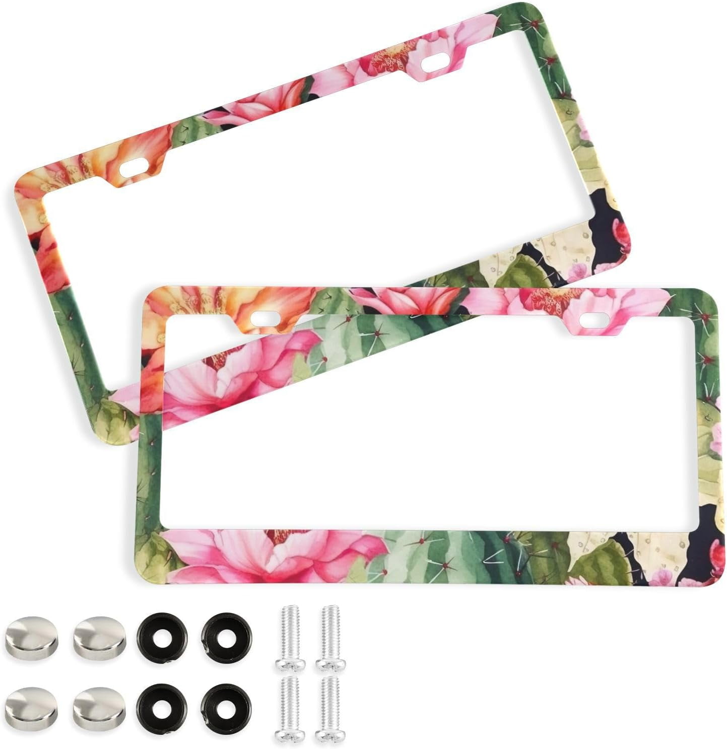 GZHJMY Watercolor Cactus License Plate Frames 2 Pack Aluminum License ...