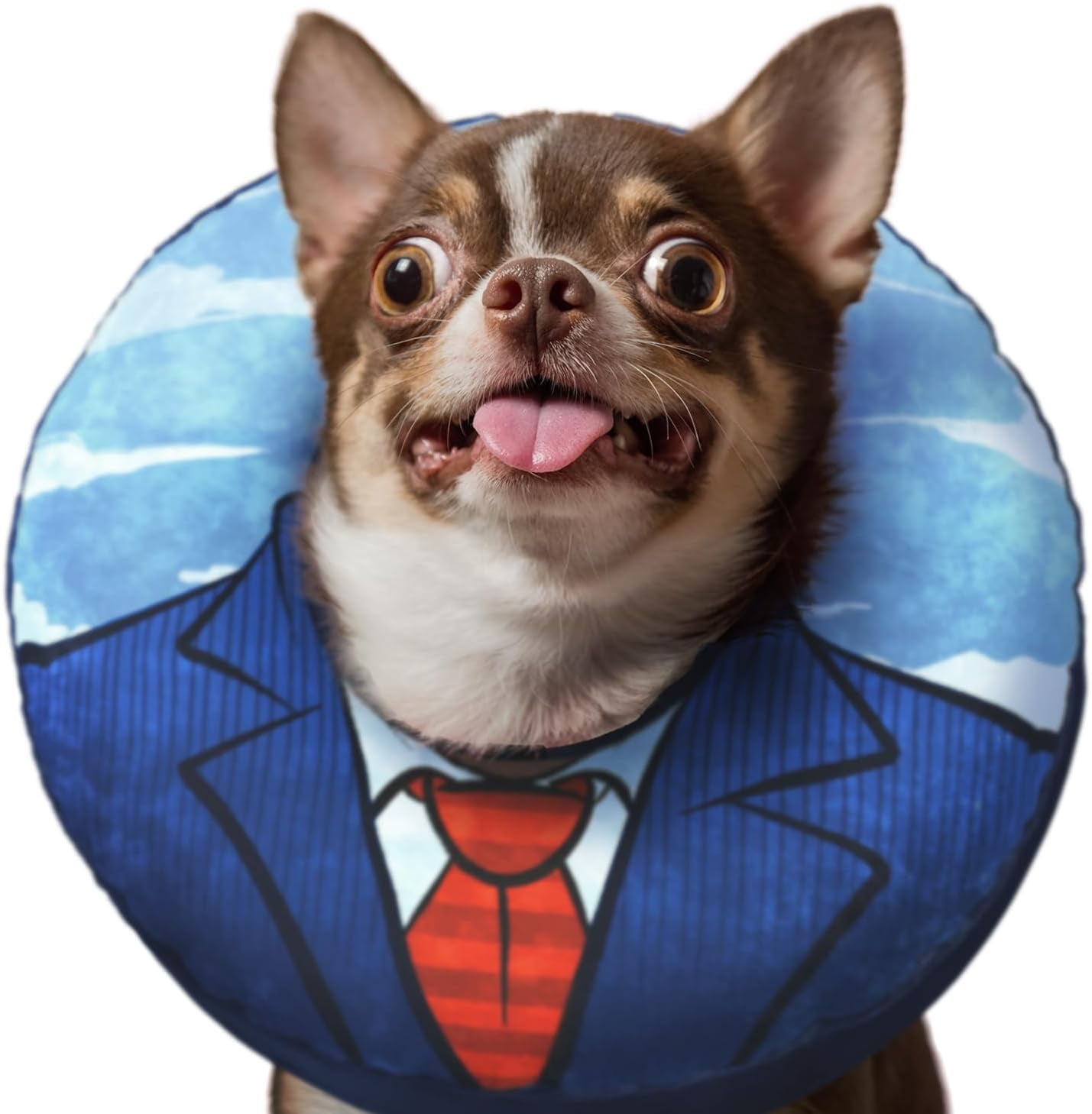 GZHJMY XL Large Dog Donut Collar - Inflatable Dog Cone Alternative for ...