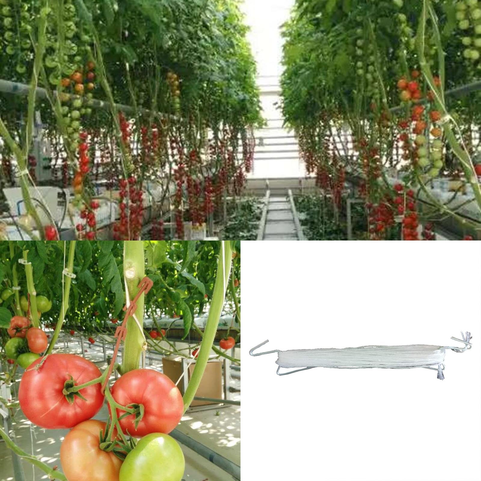 GZJCKJY 10PCS Fruits And Vegetables Hook Vine Hook Greenhouse Hook M ...
