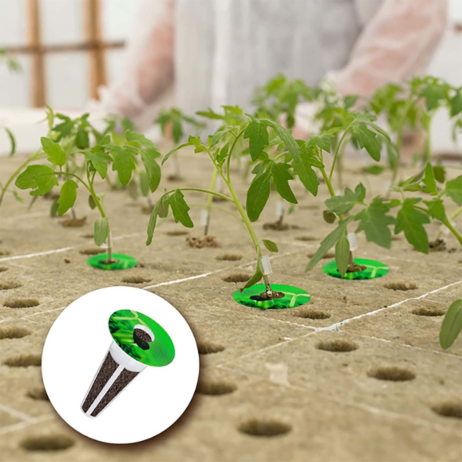 GZJCKJY Plant Labels 10pcs Plant Grow Stickers Grow Baskets Labels ...